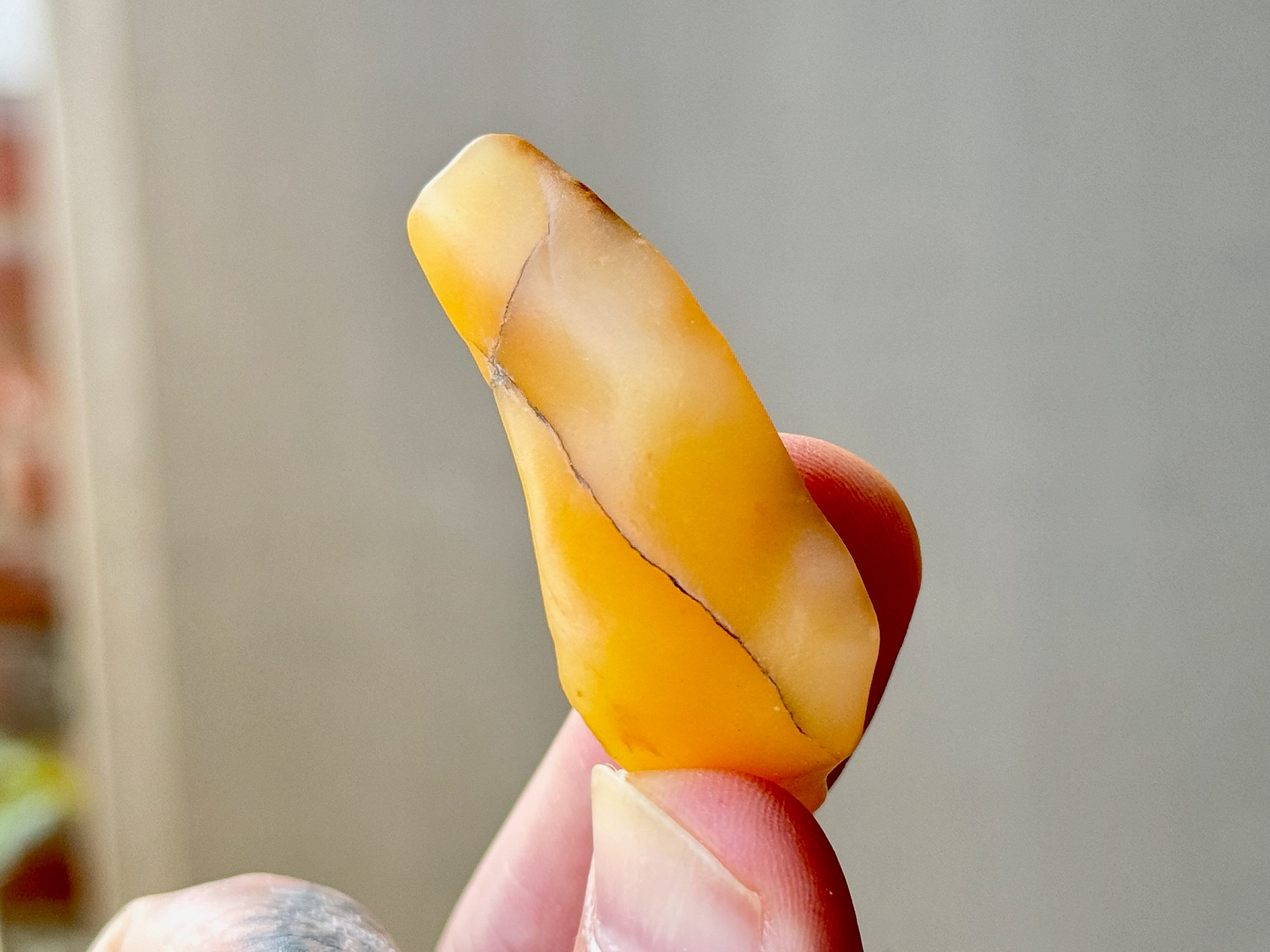 Yellow Jade, Rare Find, Natural Raw Yellow Jade with Vibrant Orange ...