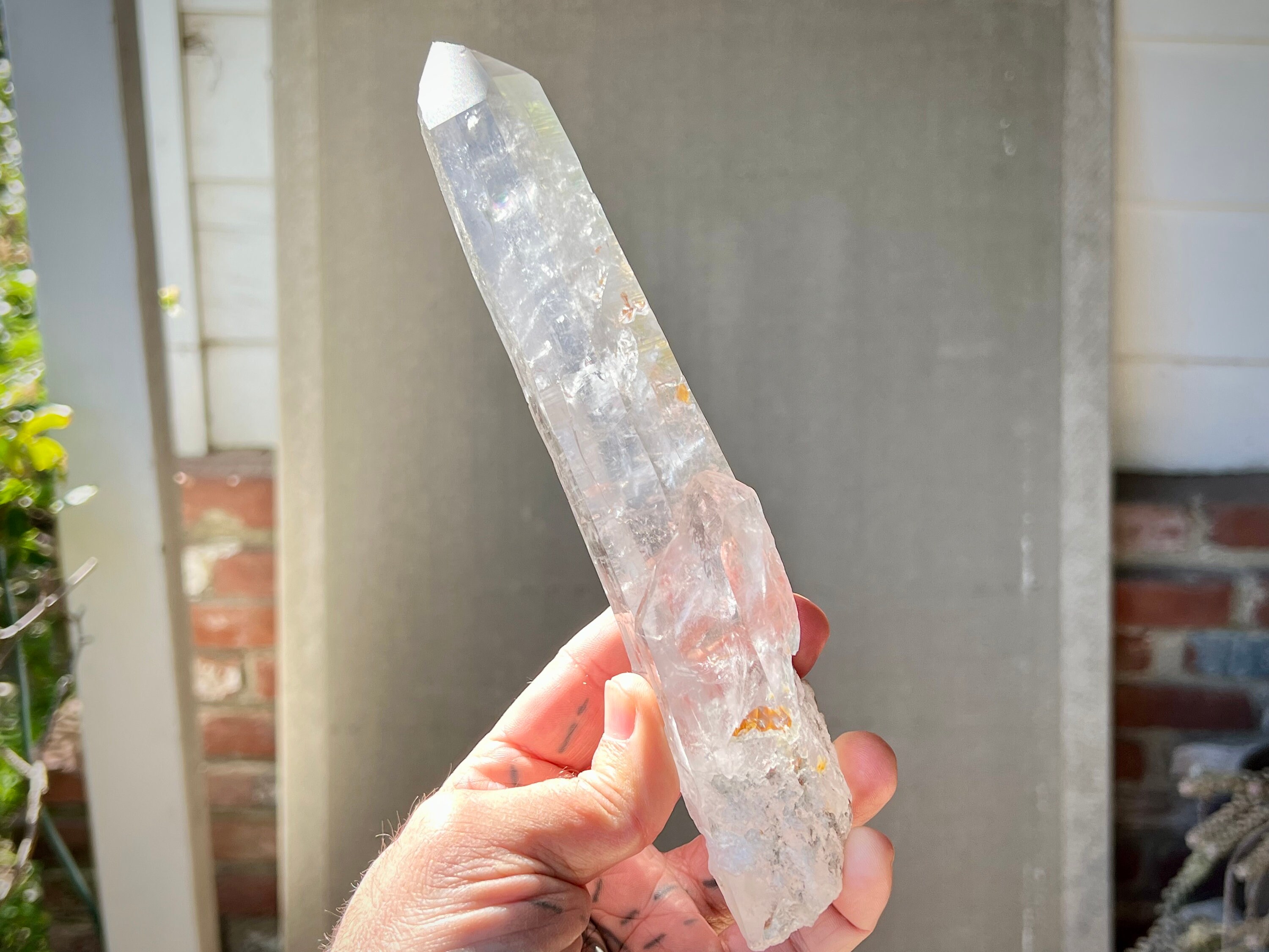 Diamantina Laser Quartz Crystal, Long Natural Quartz Point (8) for ...