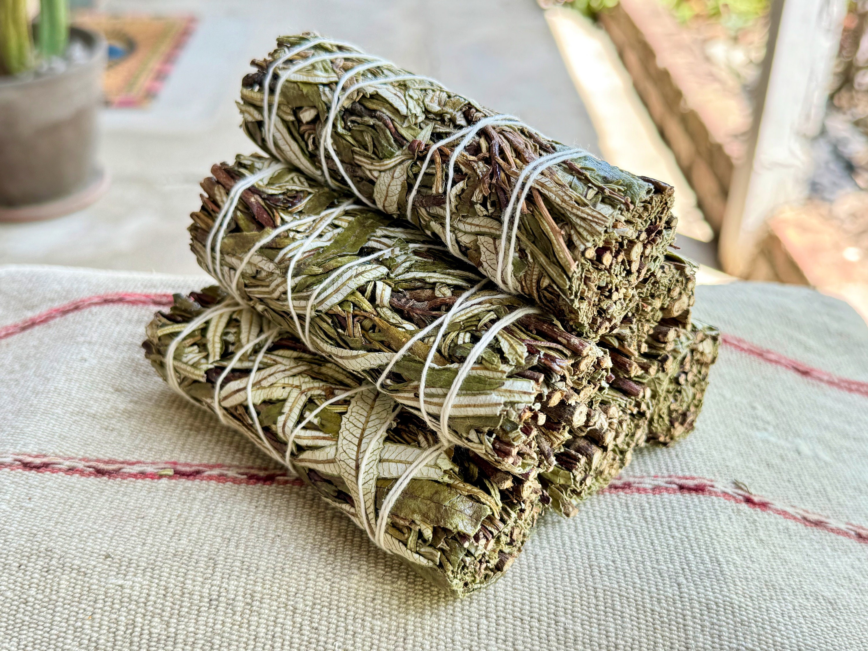 Yerba Santa Bundle, Large 5 Size, ONE Yerba Santa Smudge Stick, For ...
