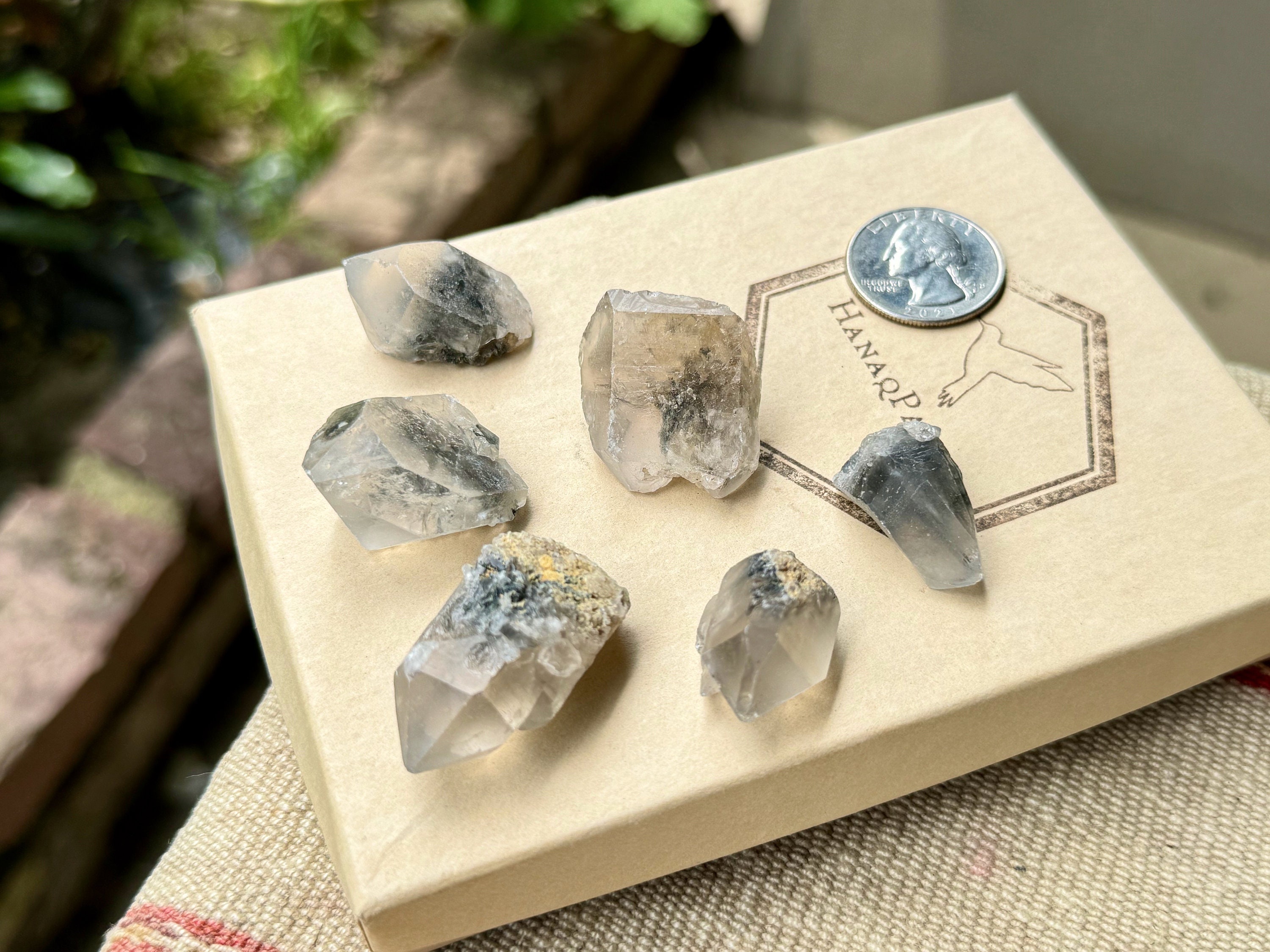 Smoky Quartz with Black Rutile Inclusion Lot, 6 Pieces, New Find ...