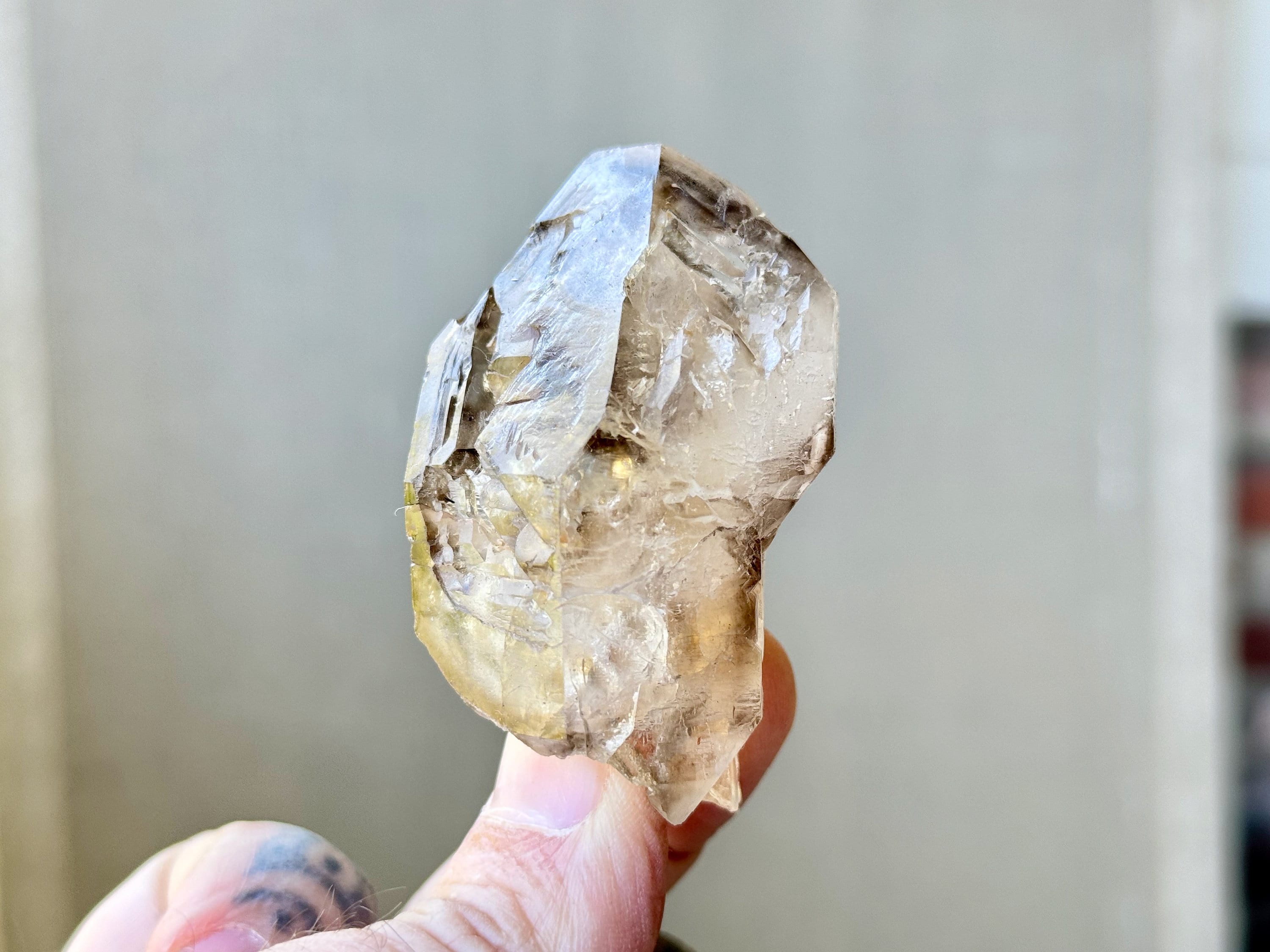 Elestial Smoky Quartz in a Perfect Scepter Formation, New Find, Root ...