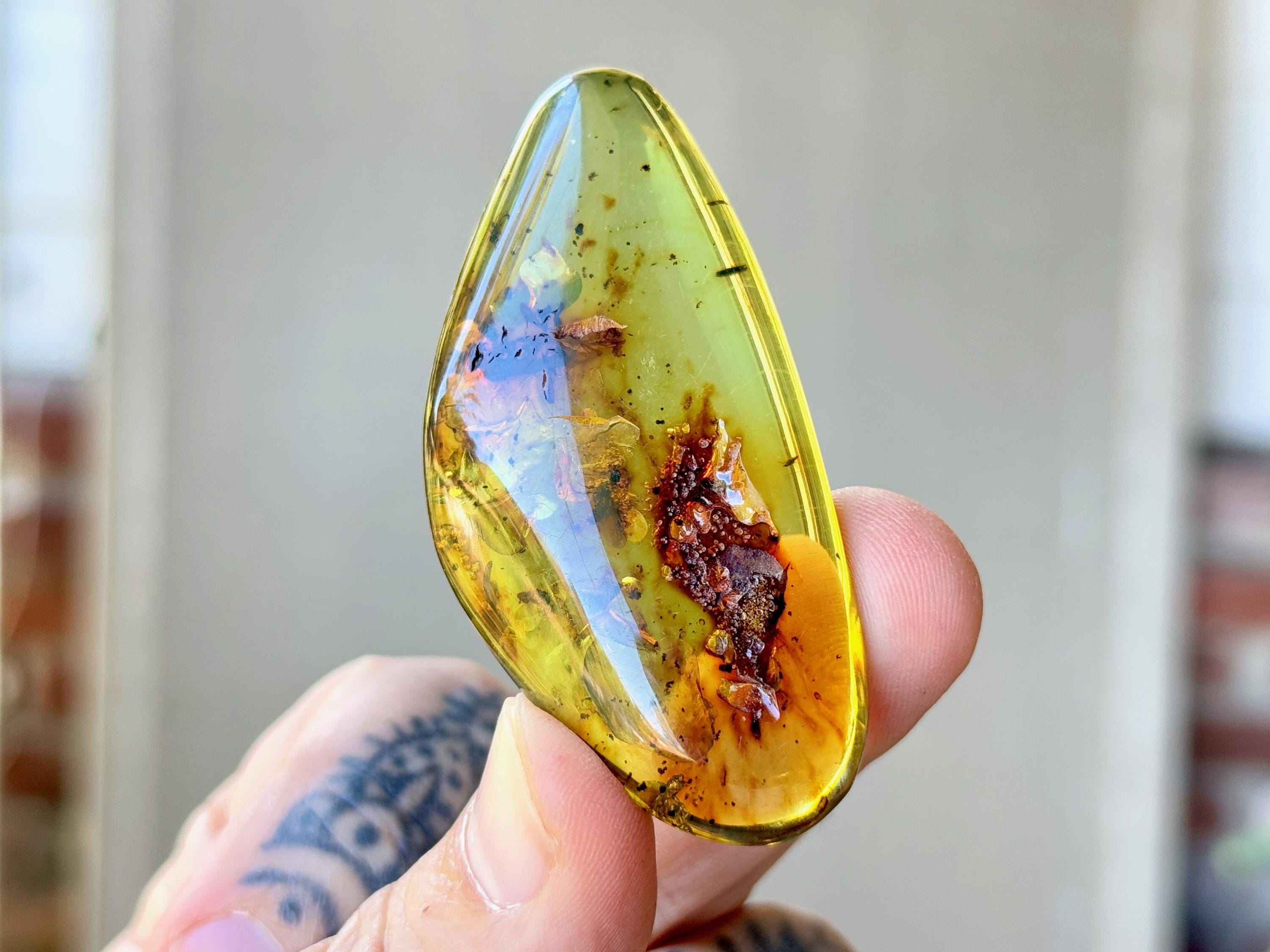 Green Amber Copal Crystal with Fossilized Insect and Plant Matter, 16g ...