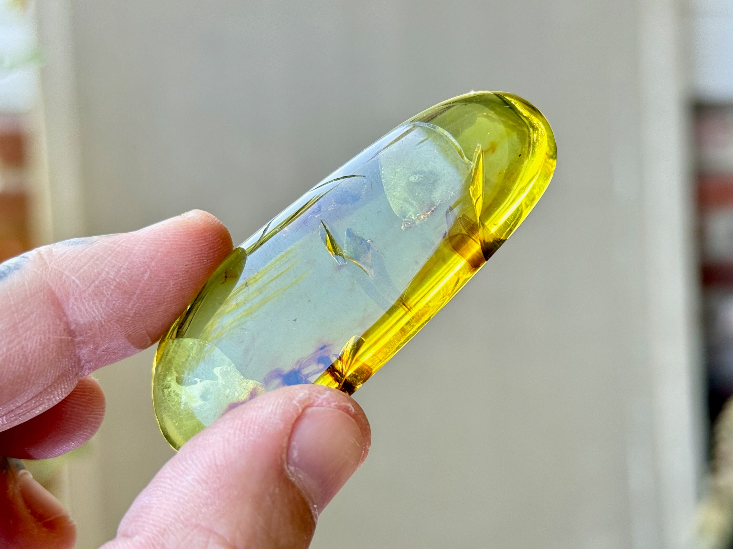 Rare Green Amber Copal Crystal with Fossilized Insects and Plant Matter ...