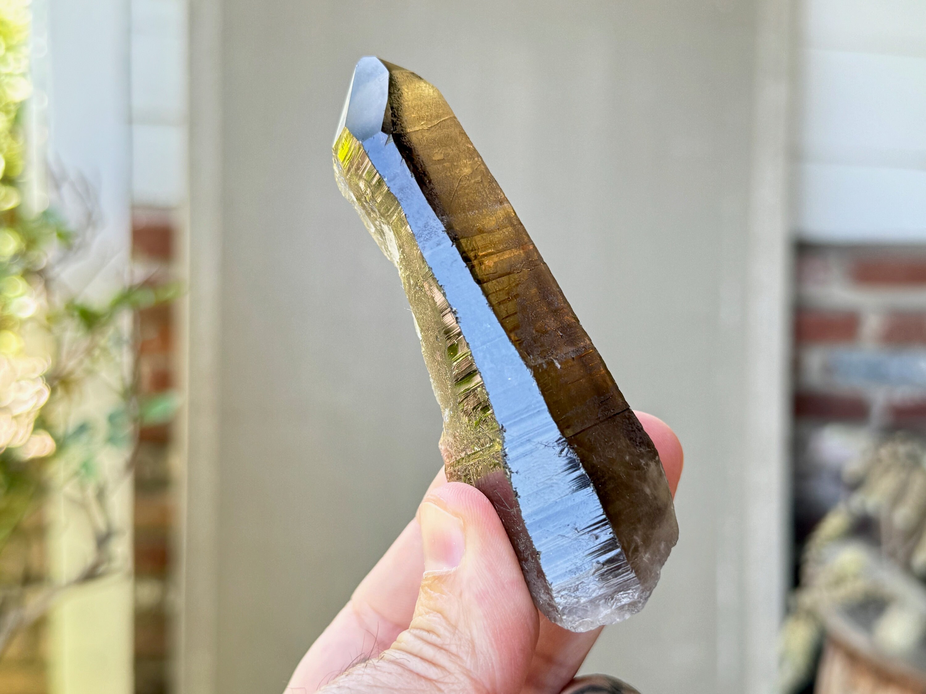 Shadow Healer Lemurian Quartz, New Find, Smoky Black Citrine Lemurian ...
