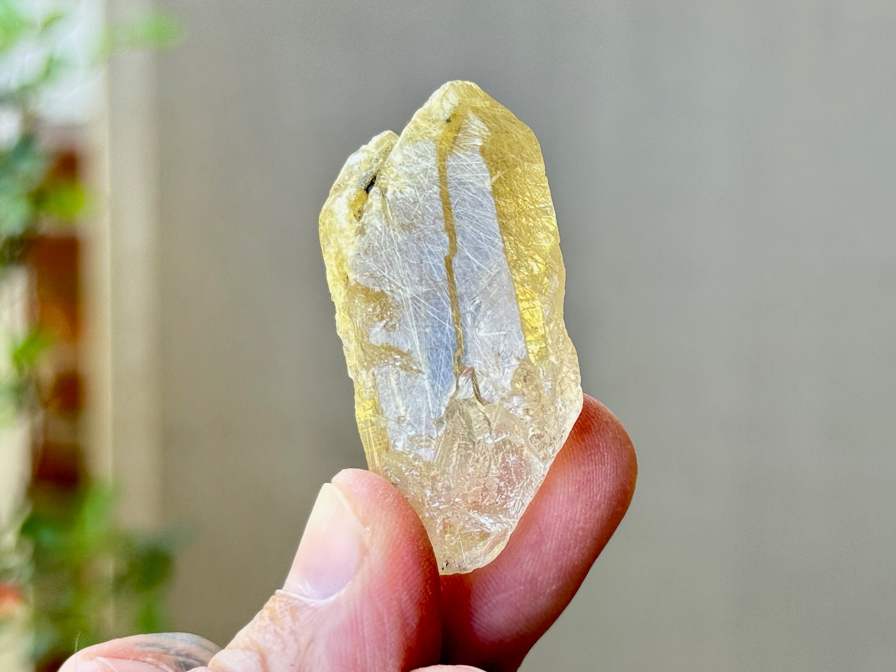 Golden Rutile Quartz with Vibrant Yellow Rutile Inclusions, New Find ...