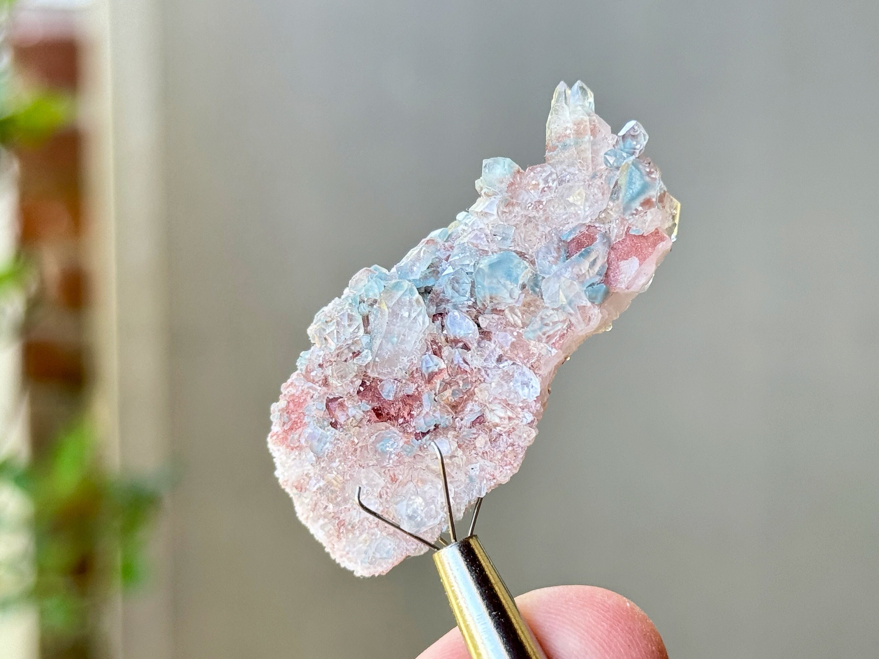 Blue Dragon Lithium Quartz with Vibrant Pink and Blue Inclusions, New ...