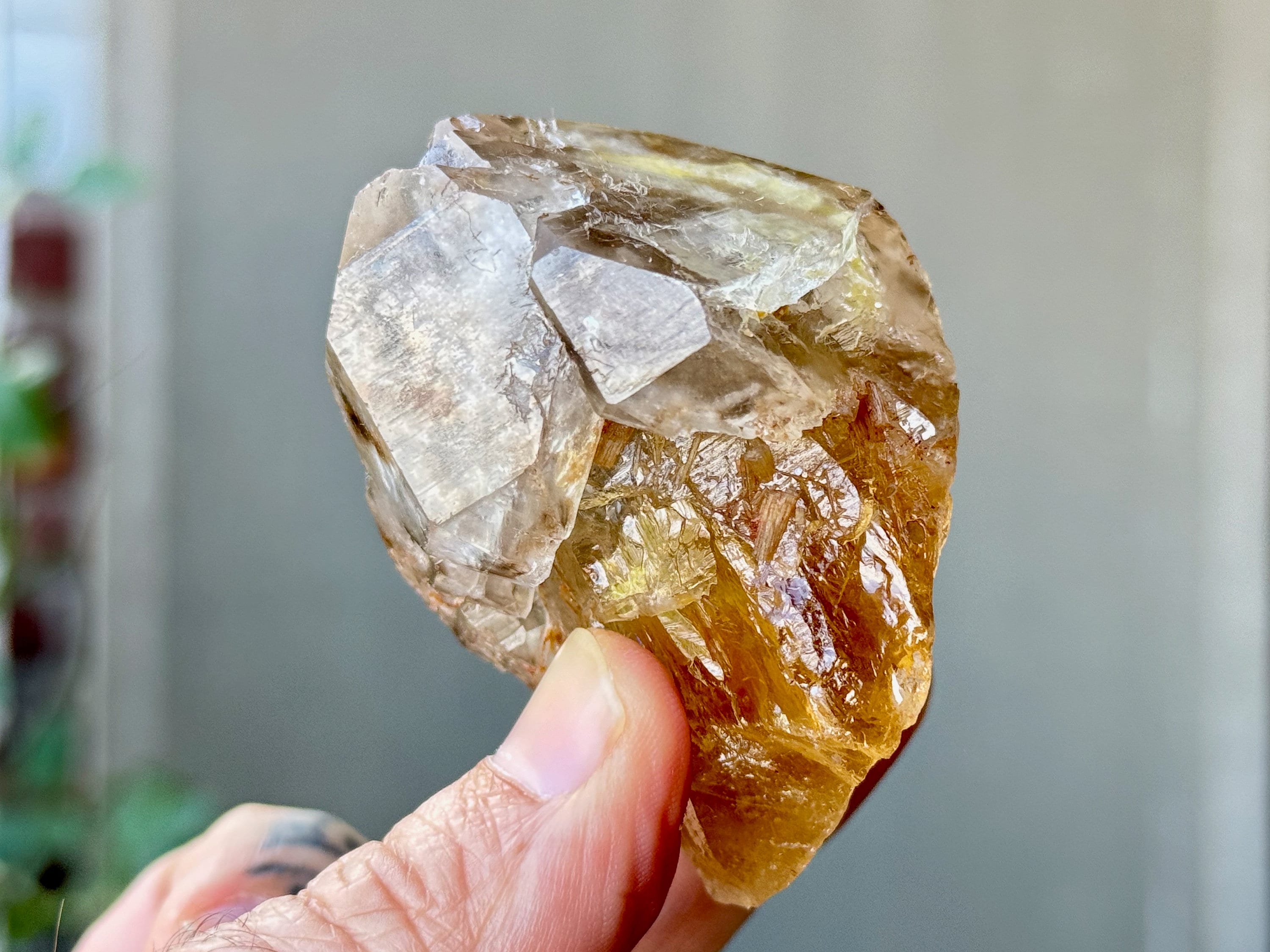 Elestial Citrine, Scepter Formation, 144g, Solar Plexus Chakra Crystal ...