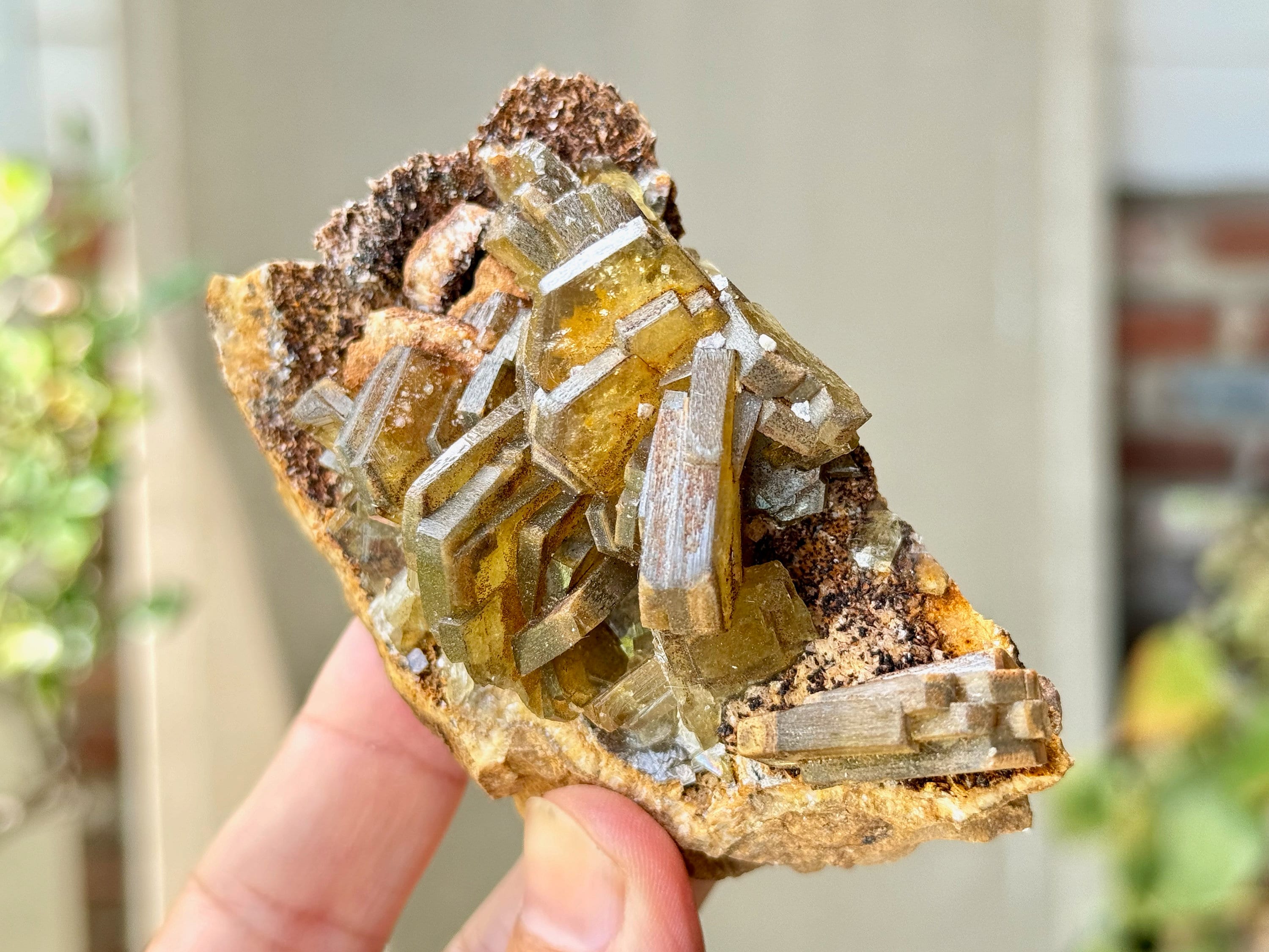 Golden Barite on Matrix, New Find, Yellow Barite in Tabular Formation ...