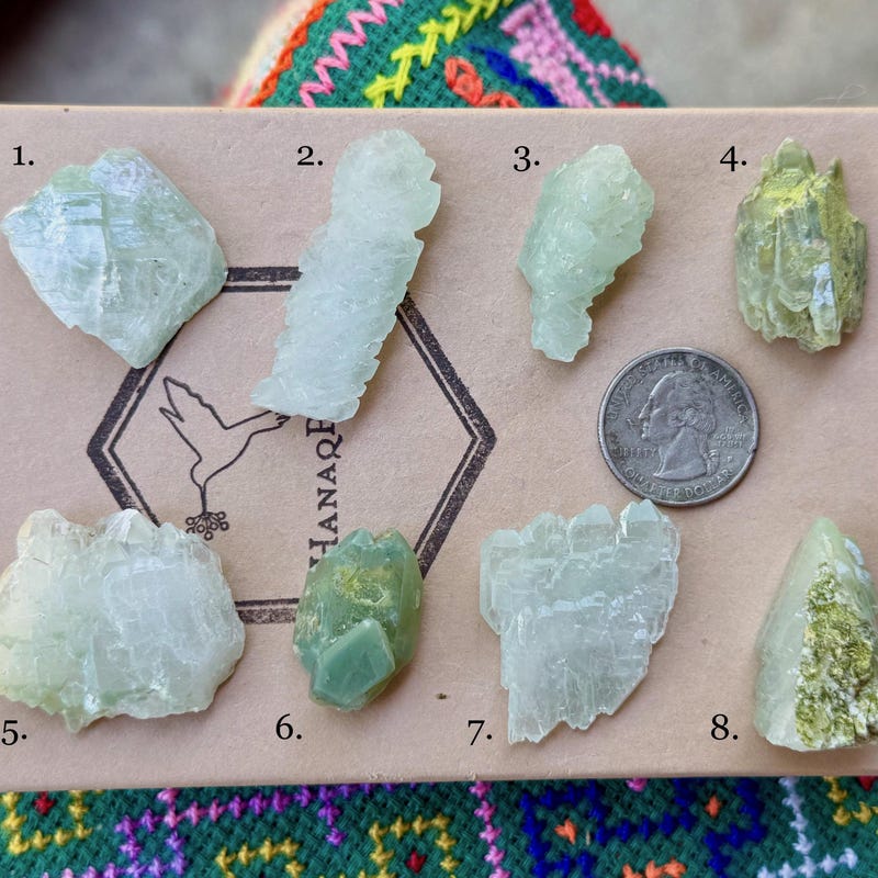 Madagascar Green Phantom - Etsy
