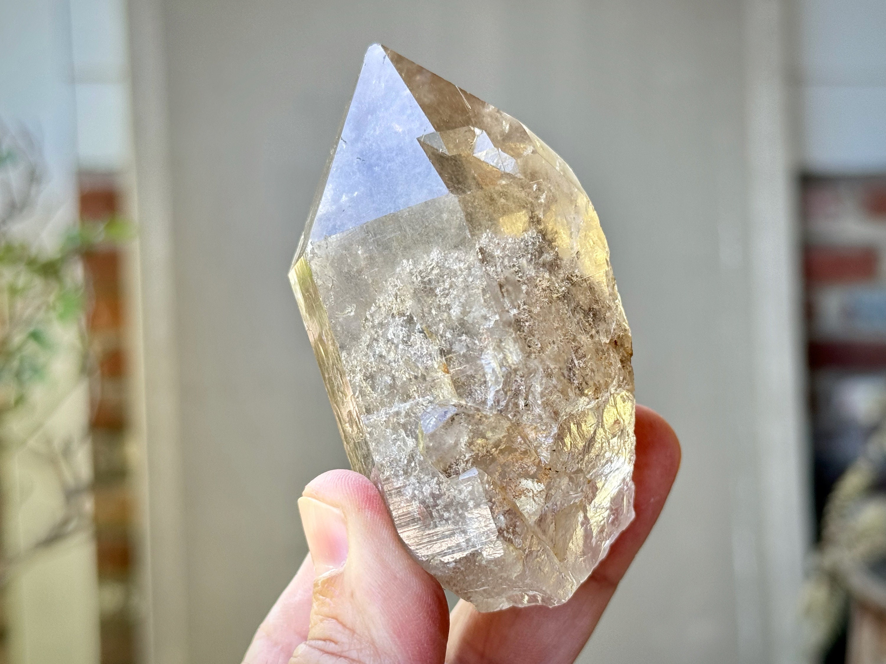 White Phantom Lodolite Quartz with Mild Golden Hue and Beautiful Garden ...