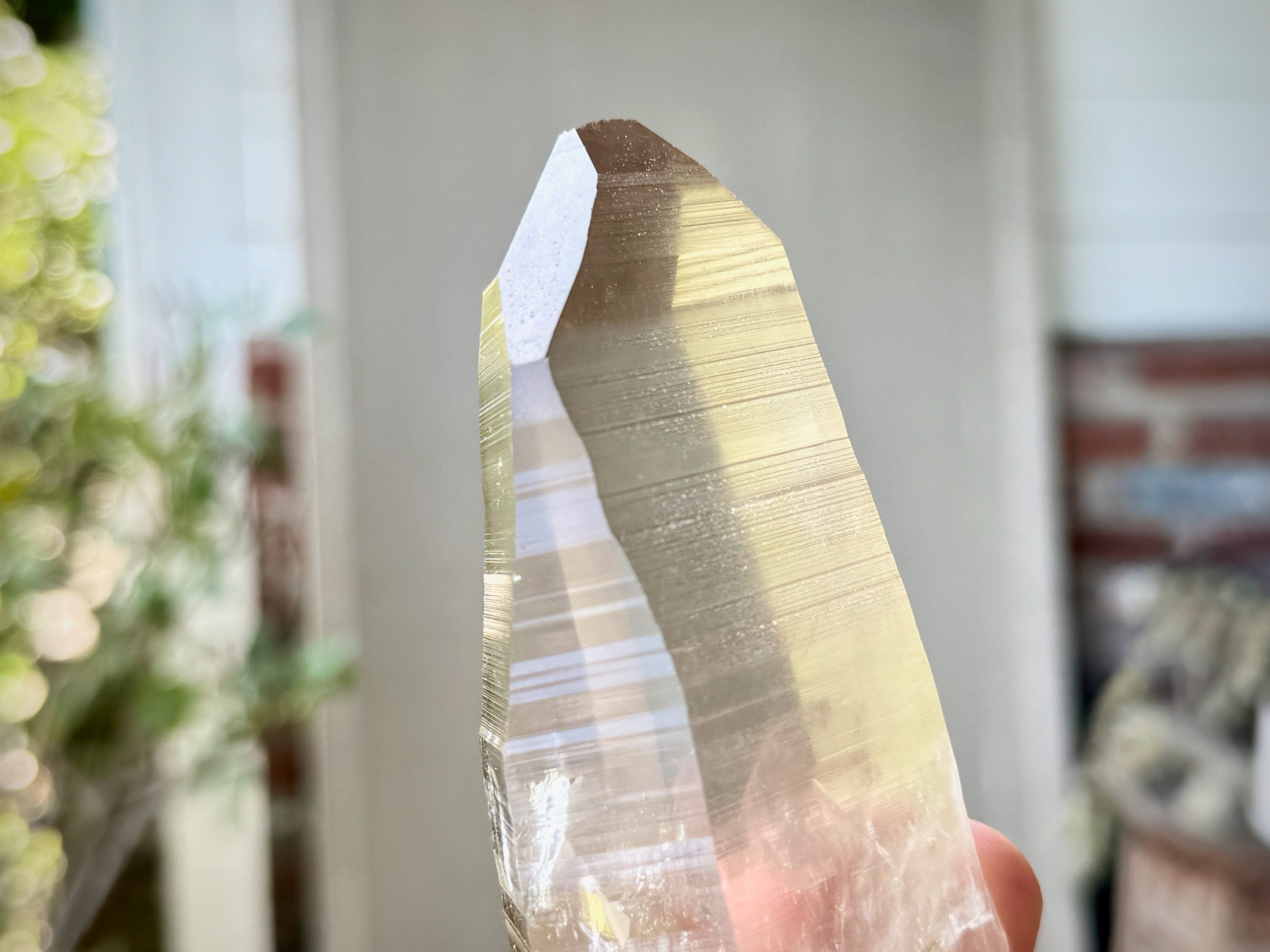 Smoky Lemurian Quartz with Exquisite Clarity and Deep Lemurian ...
