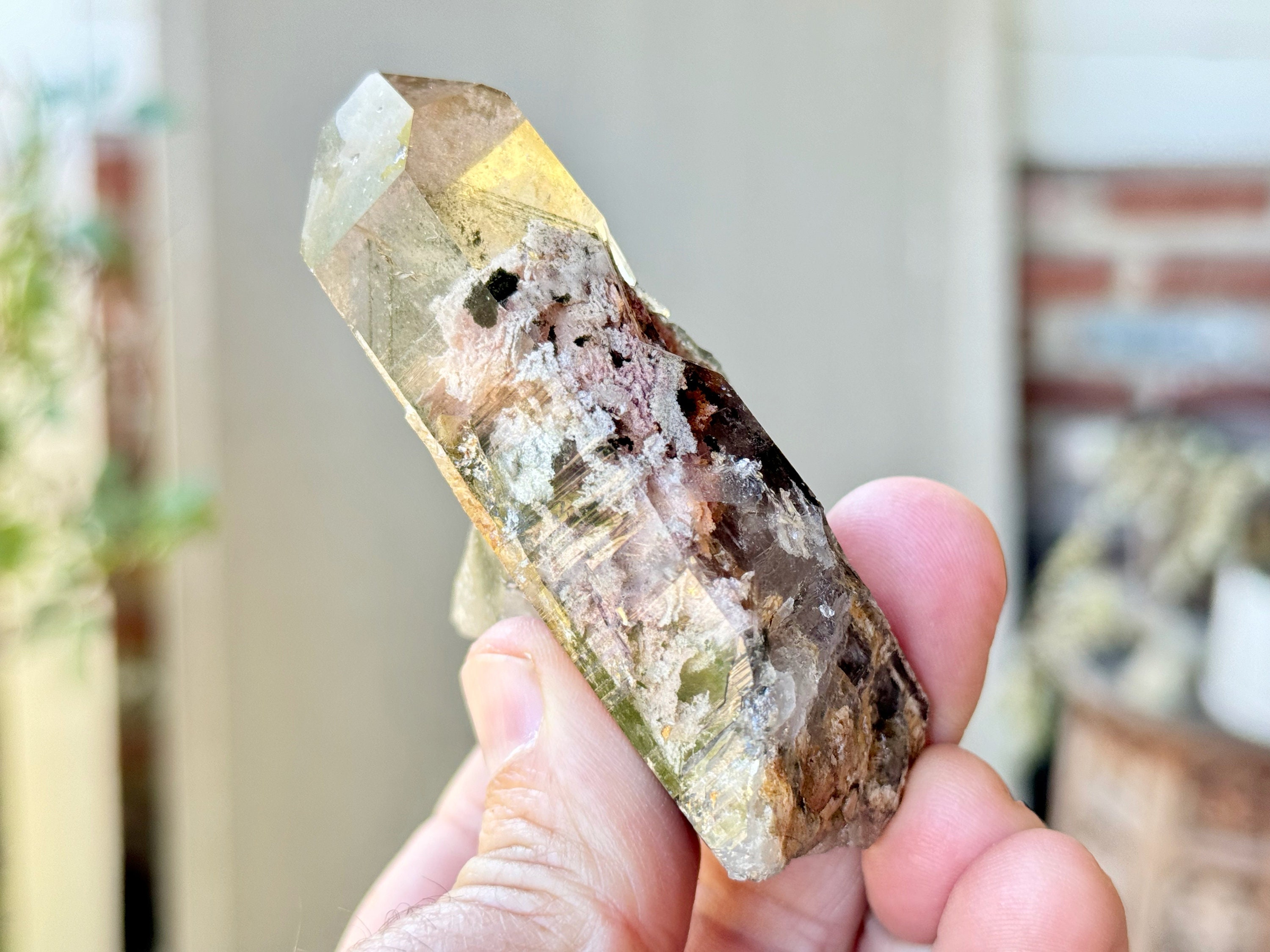 Lodolite Quartz with Green Chlorite and Colorful Garden Inclusions ...