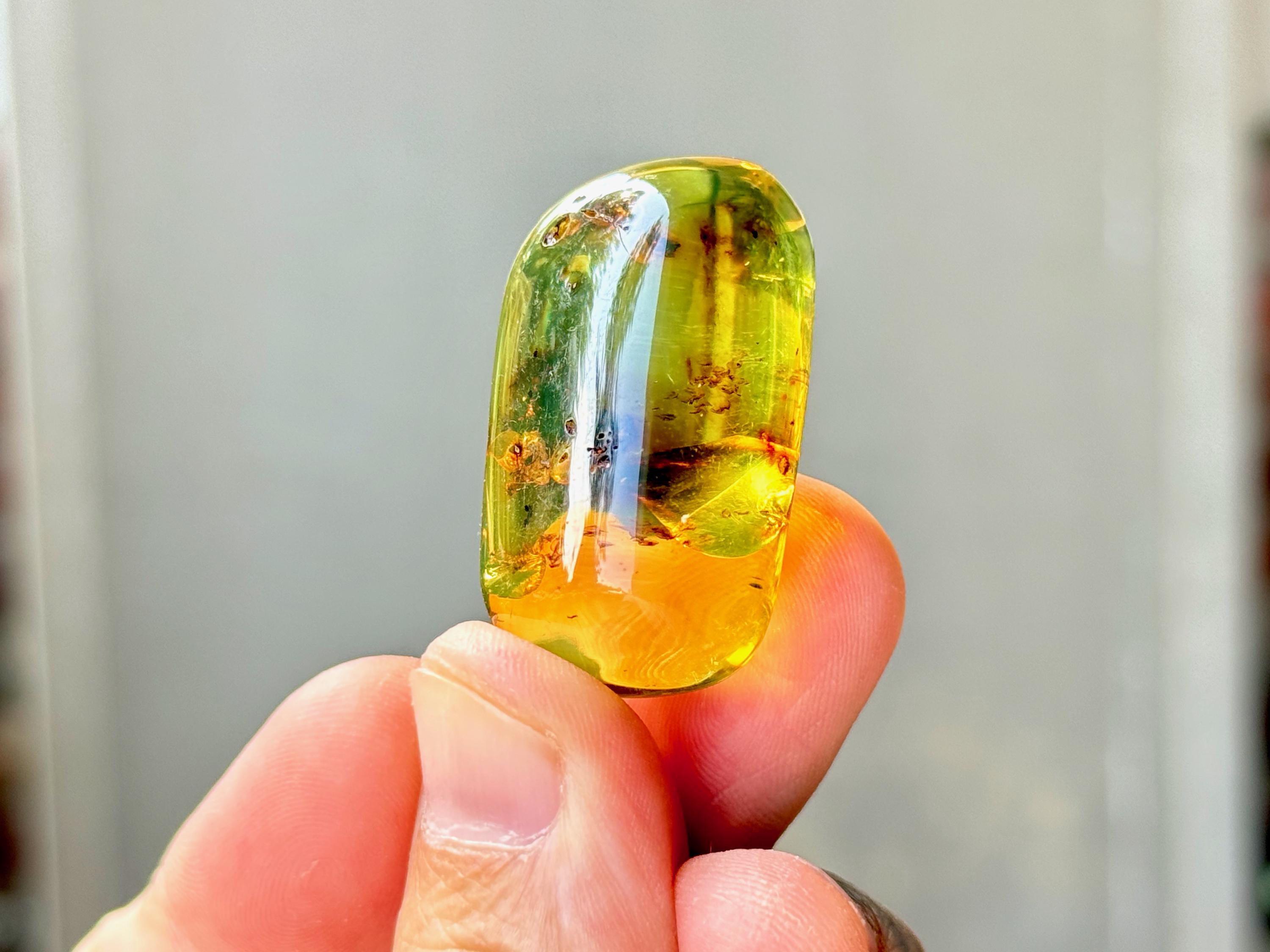 RARE Green Amber Copal Crystal with Fossilized Plant Matter, 8g, New ...