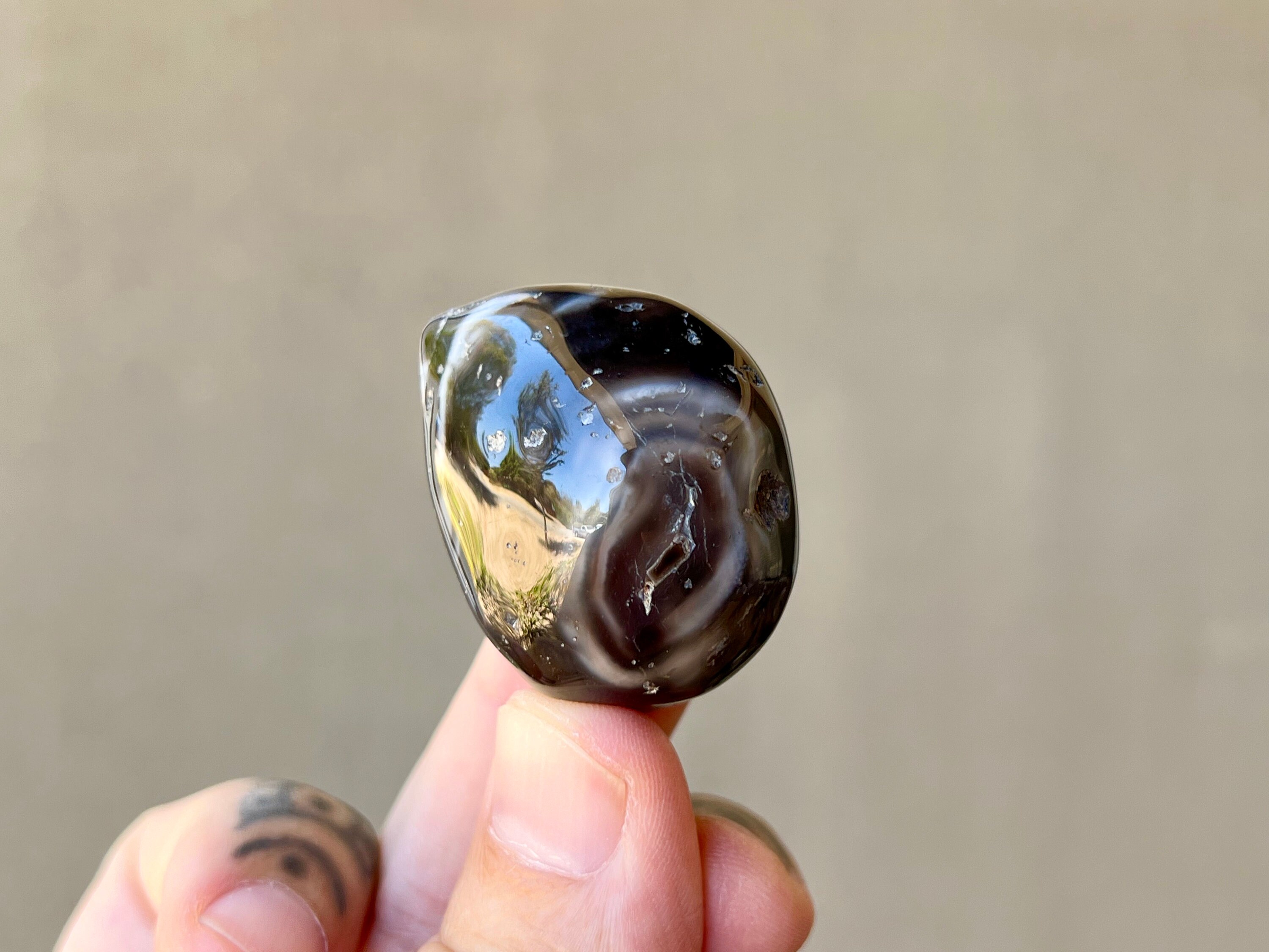 Enhydro Agate, Rare Find, Ocean Agate with Ancient Moving Water, Earth ...