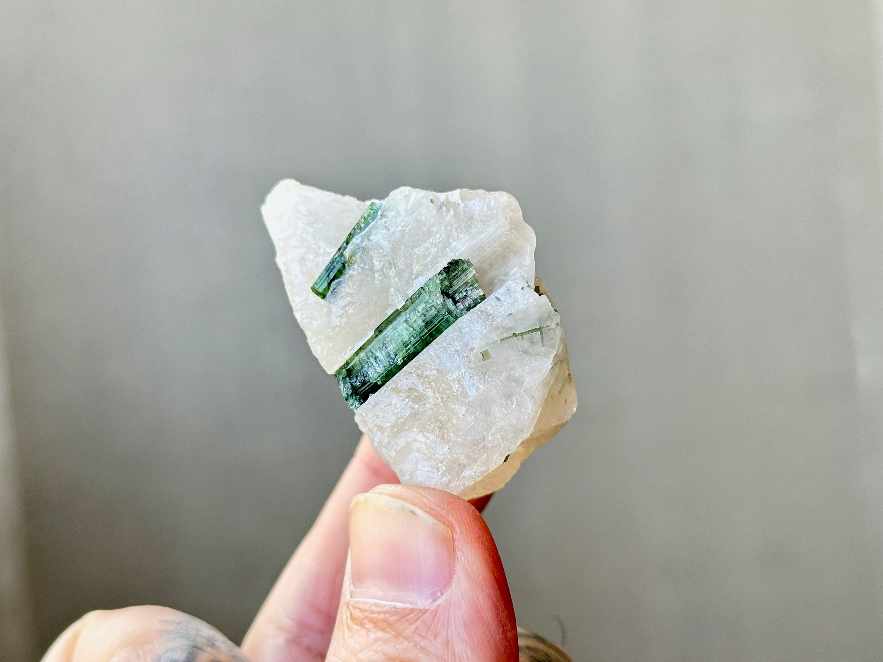 Unicorn Stone Quartz Lot with Lepidolite, Citrine, Green Tourmaline and ...