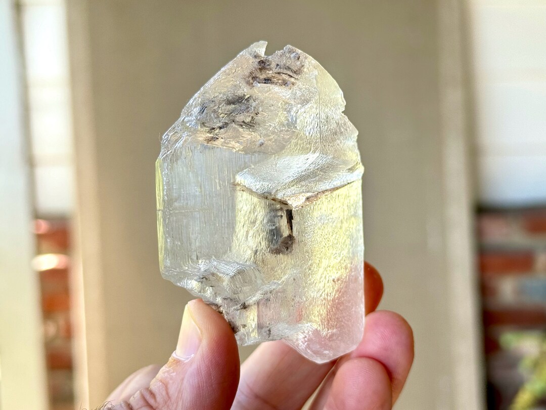 Fishtail Selenite, Uniquely Formed Angel Wing Selenite for Purification ...