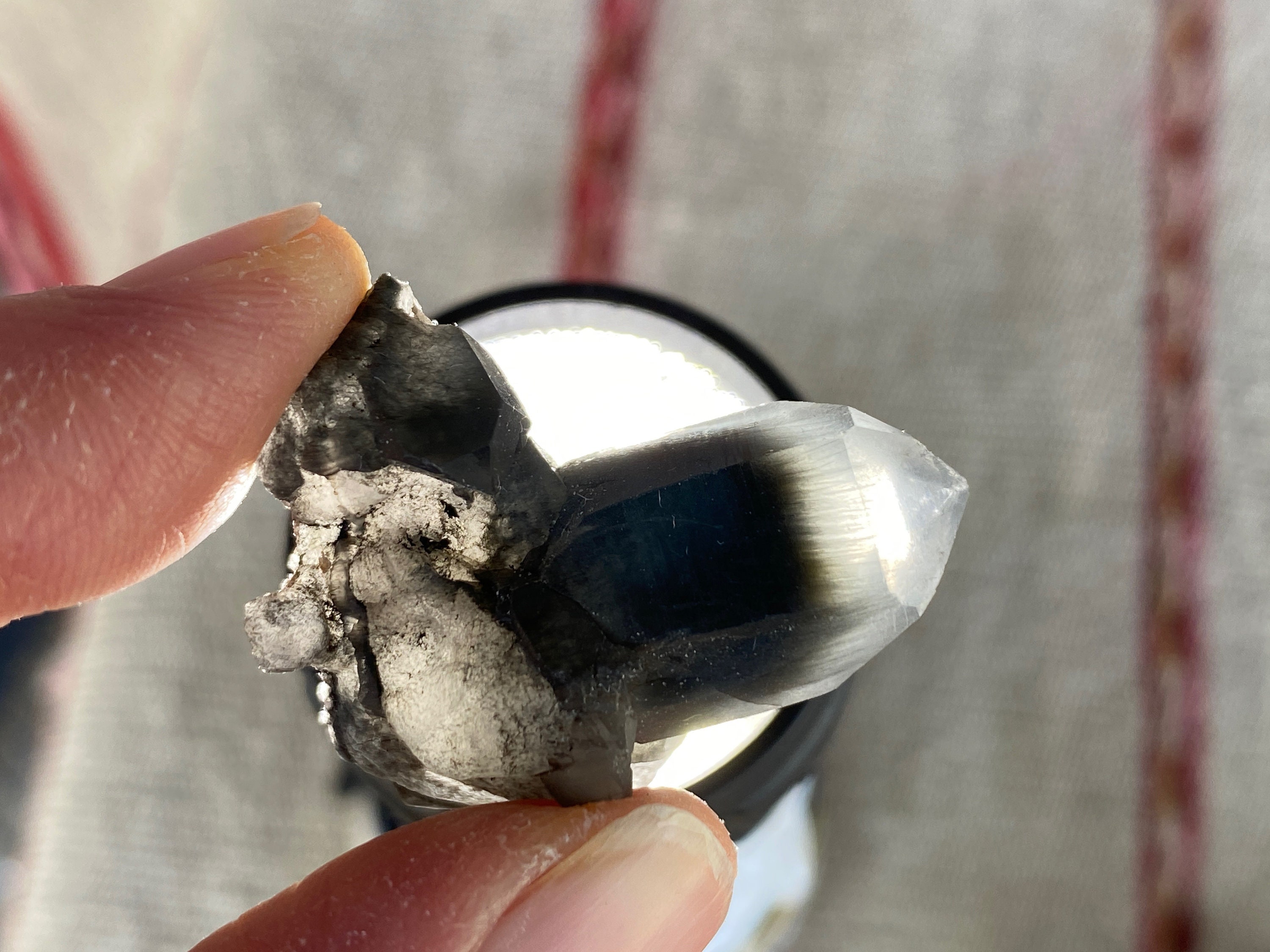 Blue Tara Quartz Lot, 6 Pieces with Vibrant Blue Riebeckite Inclusions ...