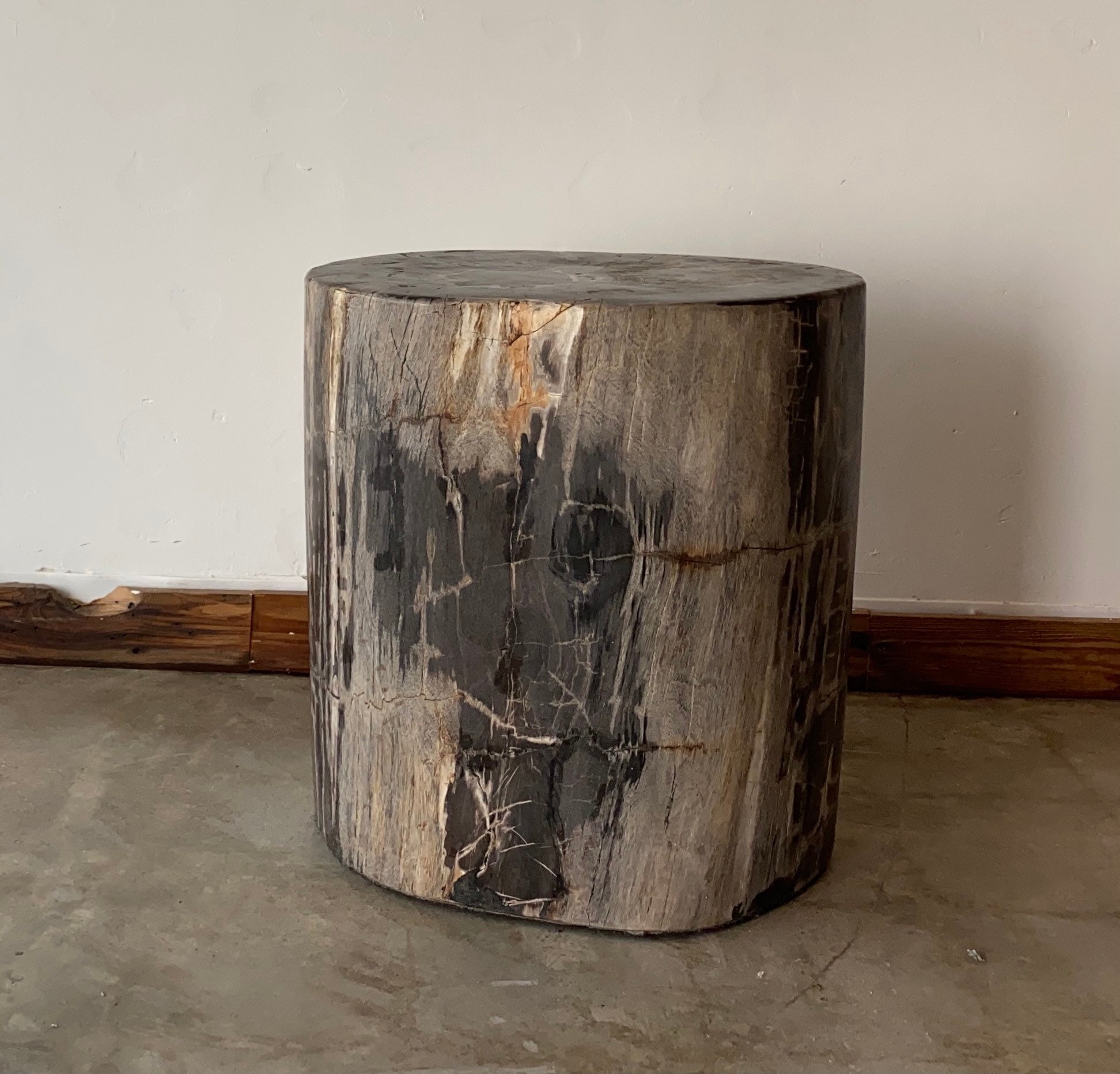 Black/grey 17 Petrified Wood Stool Block Fossil Wood End | Etsy