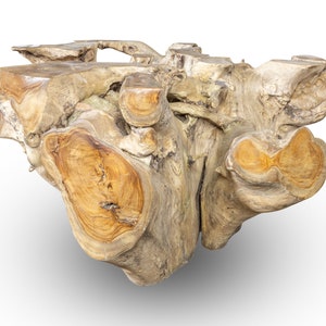 Teak Wood Root Coffee Table With Glass Top, Modern Coffee Table ...