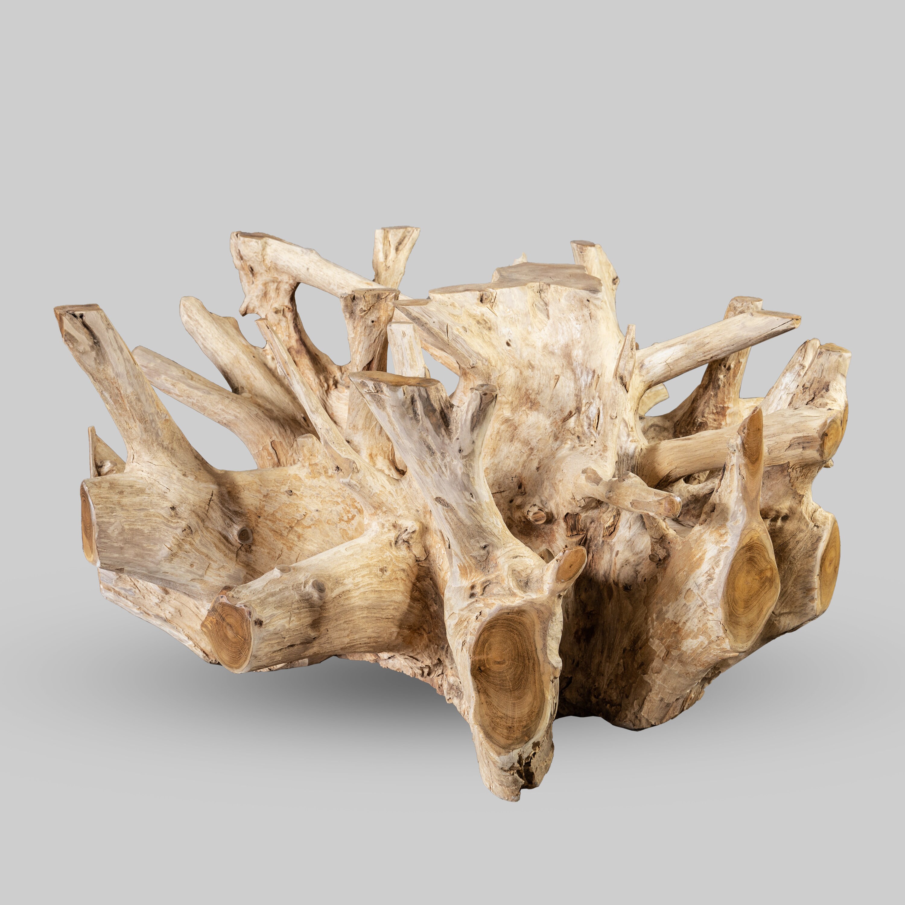 Teak Wood Root Coffee Table With Glass Top, Modern Coffee Table ...