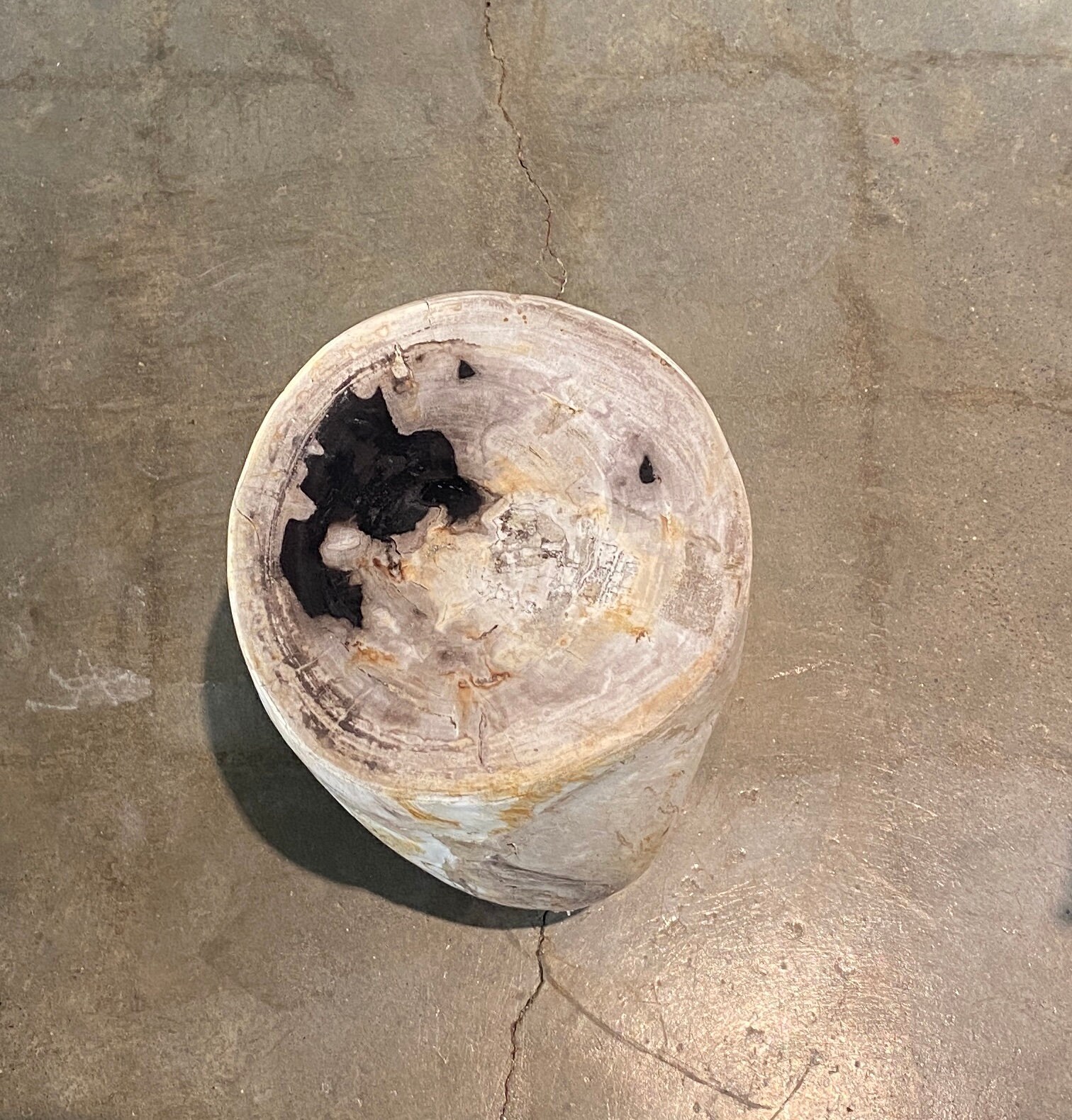 Light Beige and Black Petrified Solid Wood Stool Block - Etsy