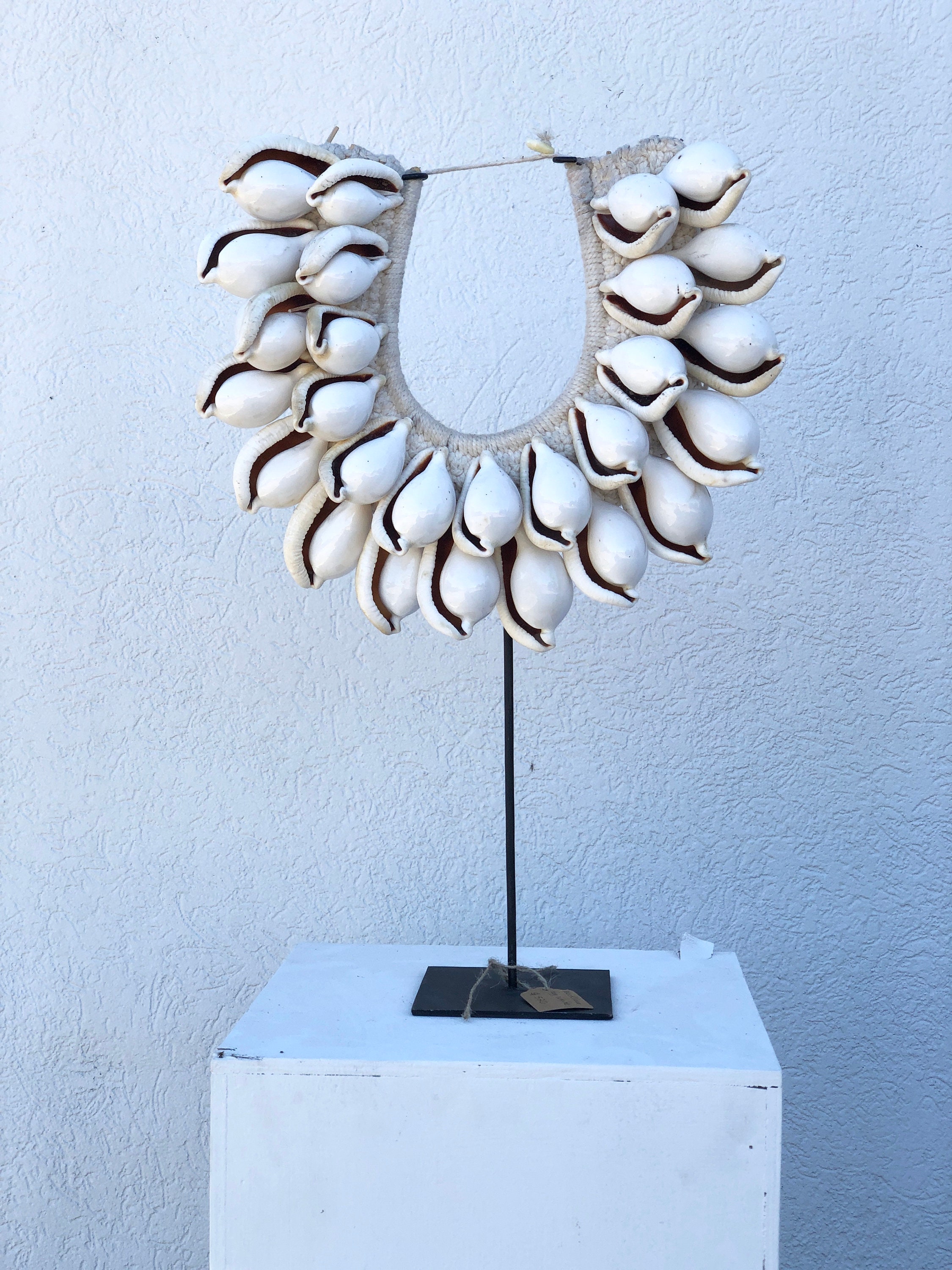 Large Atlantis Ovula Tribal Shell Necklace on Metal Stand - Etsy