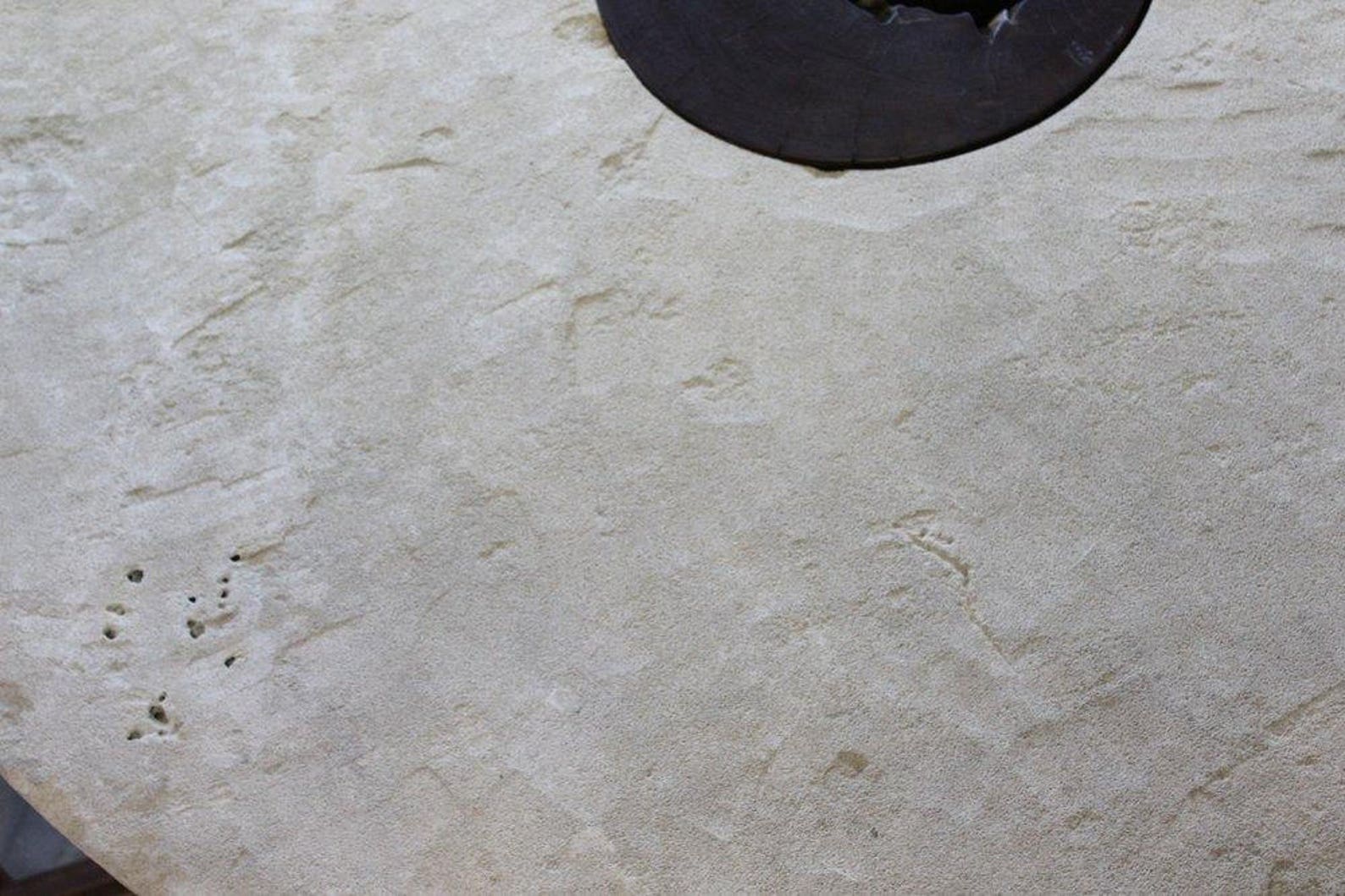 Round Limestone Table With Tree Trunk Base - Etsy