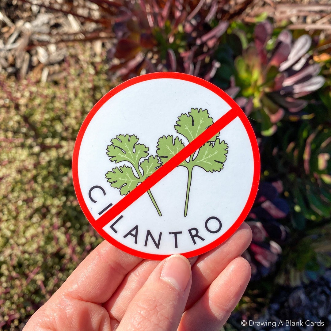 Vinyl Cilantro Sticker | Vinyl Water Bottle Sticker | Vinyl Computer ...