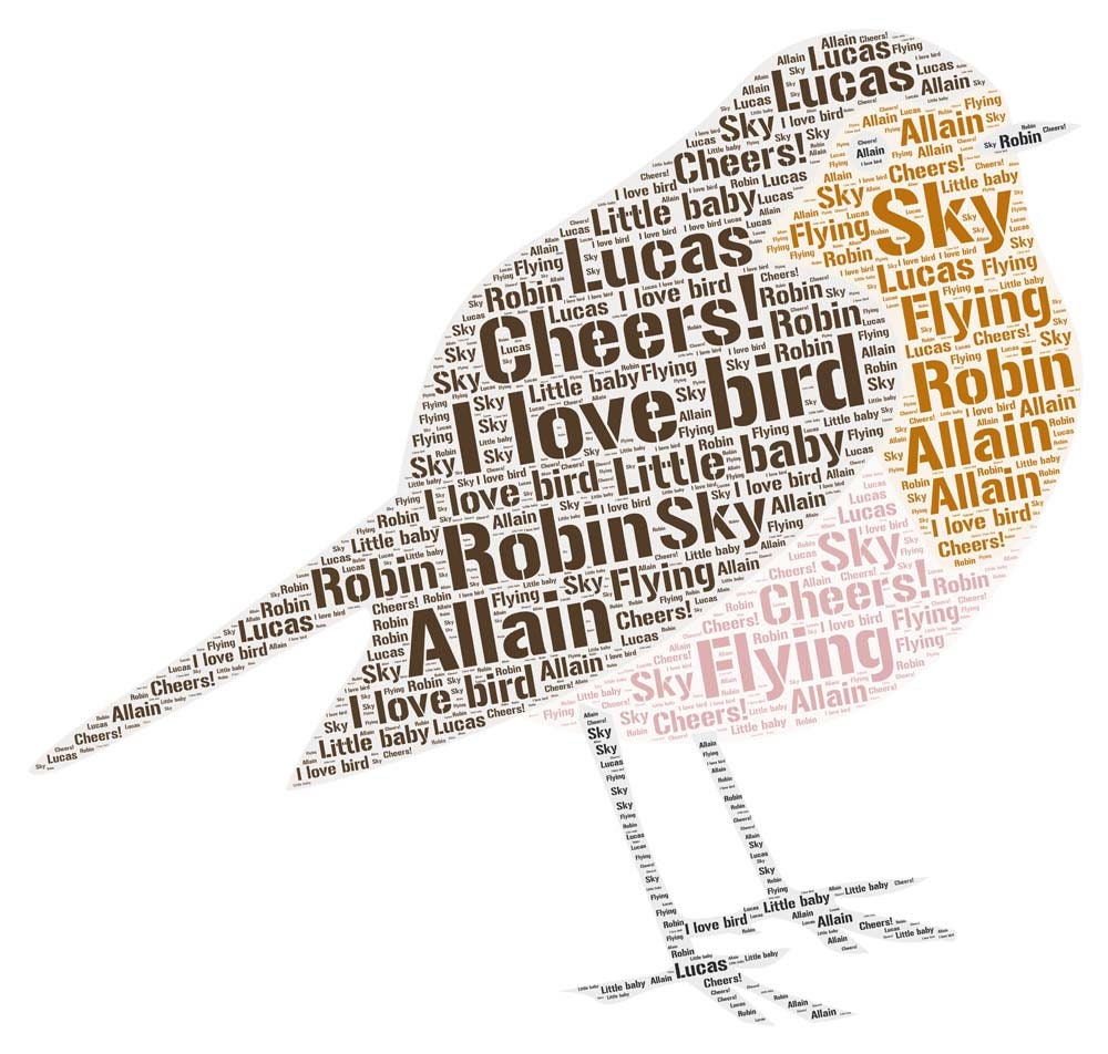 Personalised Robin Word Art Print - Etsy UK