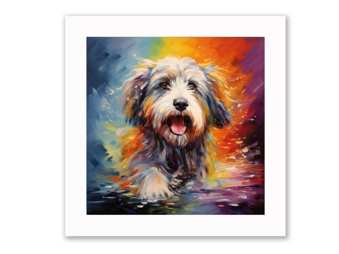 Bearded Collie Colourful Print 10x10 Inches Framed (black or White Wood ...