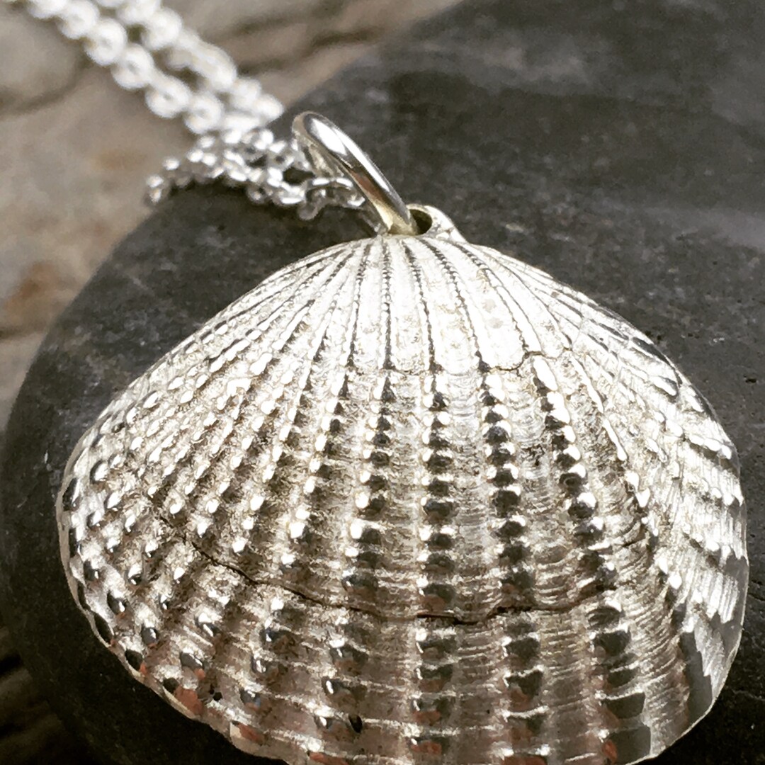 Silver Cockle Shell Necklace. - Etsy UK