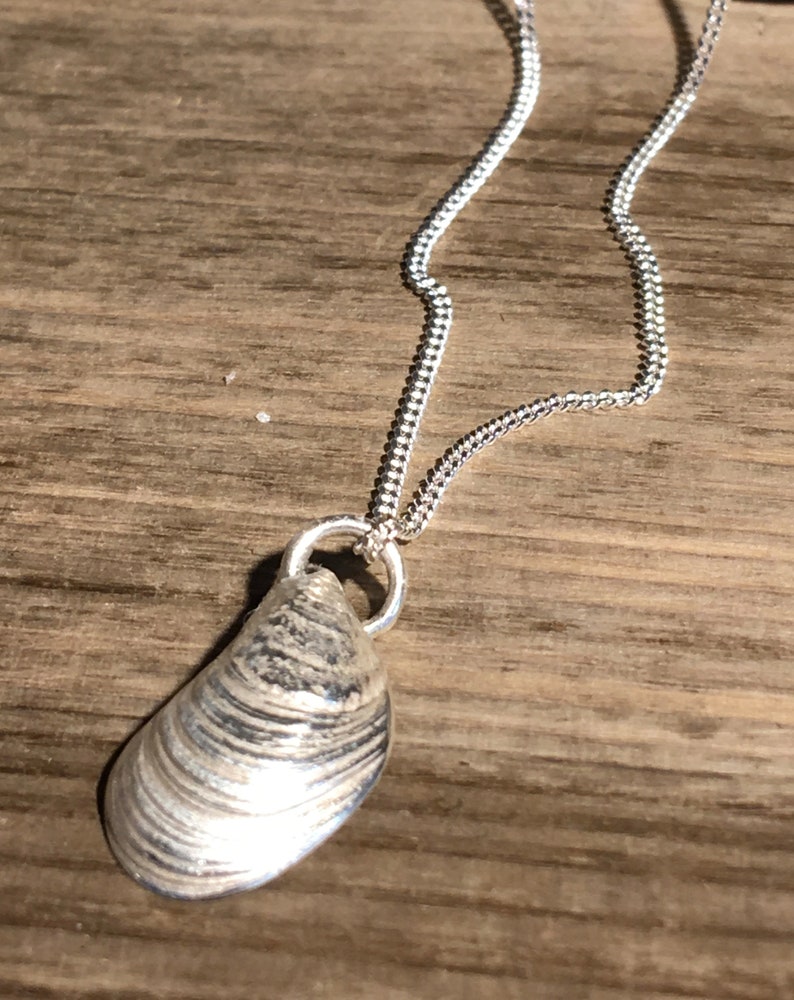 Silver Mussel Shell Necklace - Etsy