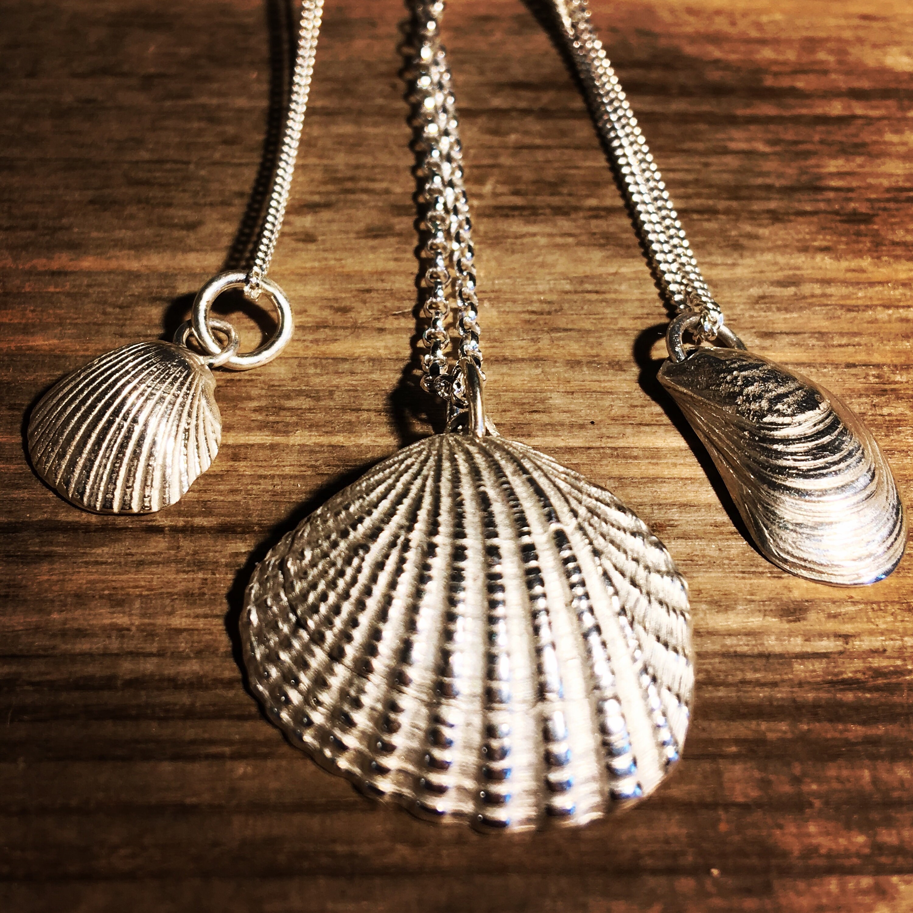Silver Mussel Shell Necklace - Etsy