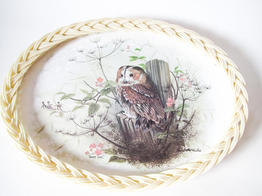 Vintage Oval Tray, Tawny Owl Design, Imperial Melamine Base, Woven Rim ...