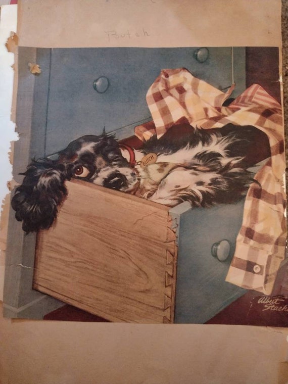 Butch the Dog by Albert Staehle Magazine Print - Etsy