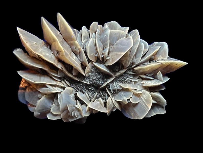 Sunflower Selenite, the Rarest of Canadian Selenite Forms Red River ...