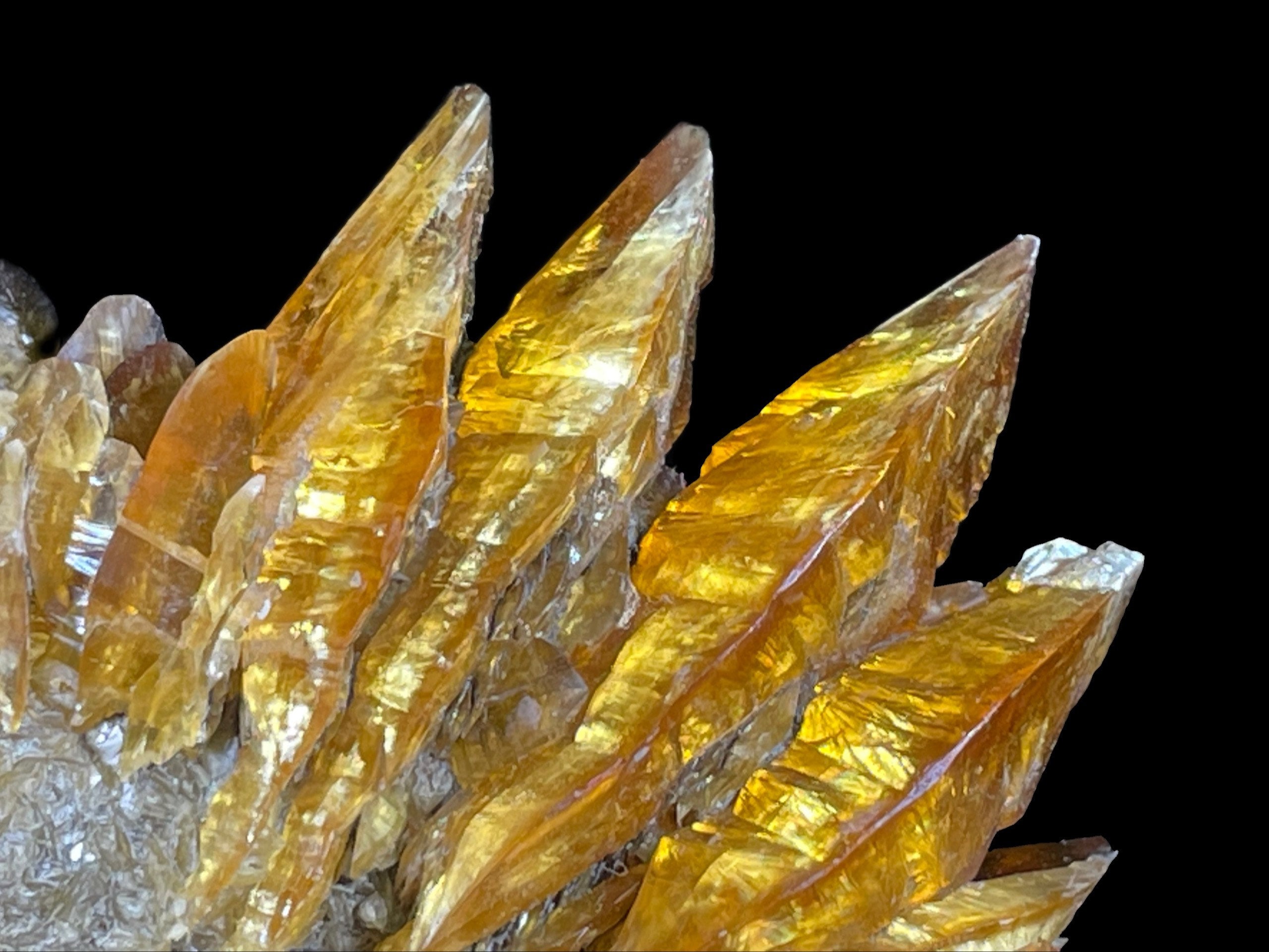 Sunflower Selenite, the Rarest of Canadian Selenite Forms Red River ...
