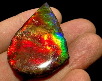 Ammolite Cabochon - Etsy