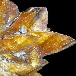 Sunflower Selenite, the Rarest of Canadian Selenite Forms Red River ...