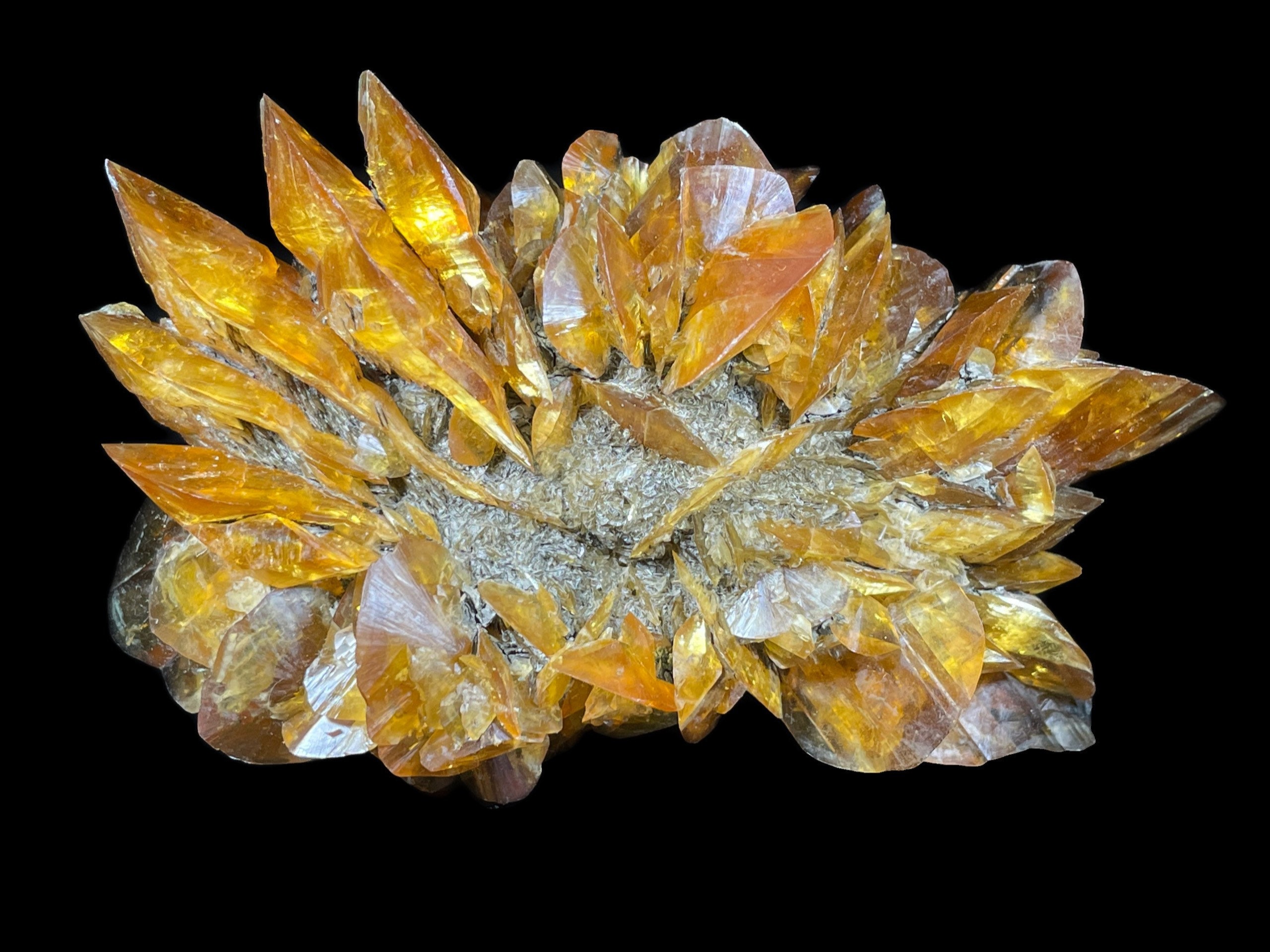 Sunflower Selenite, the Rarest of Canadian Selenite Forms Red River ...