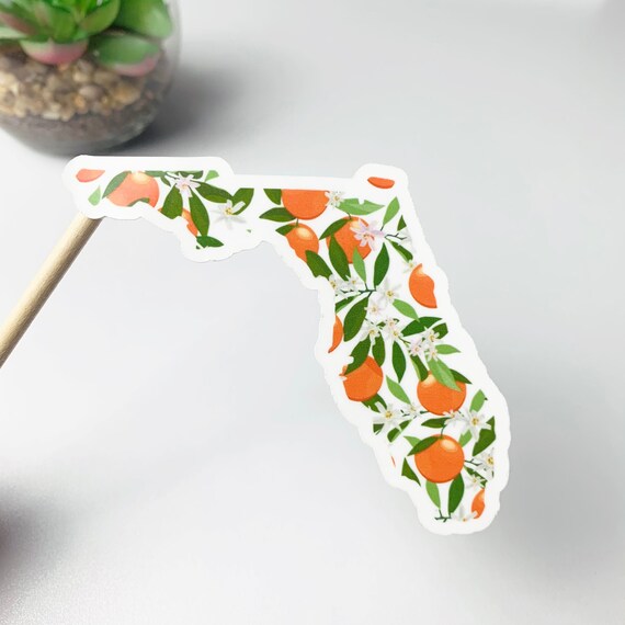 Florida Sticker Florida State Sticker Sunshine State Florida - Etsy