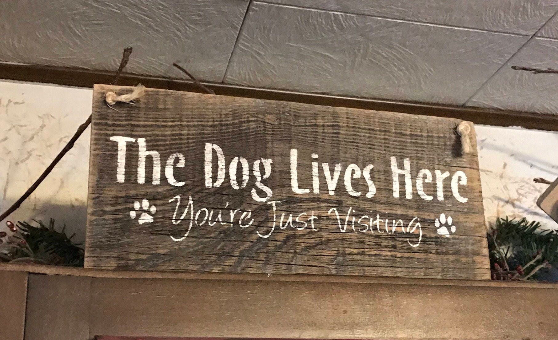 Dog Lives Here Sign Sign For Guests Pet Lovers Gift Dog | Etsy