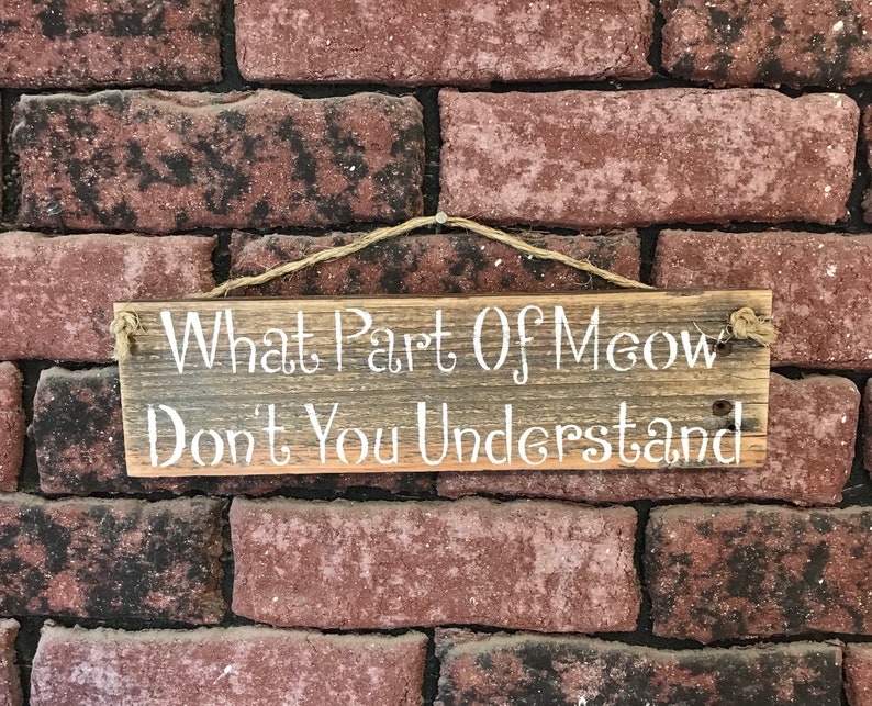 Cat Signs Cat Owner Gift Kitty Wall Hanging Pallet Wood | Etsy