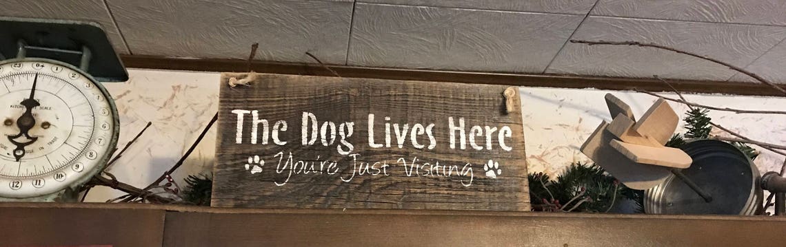 Dog Lives Here Sign Sign For Guests Pet Lovers Gift Dog | Etsy
