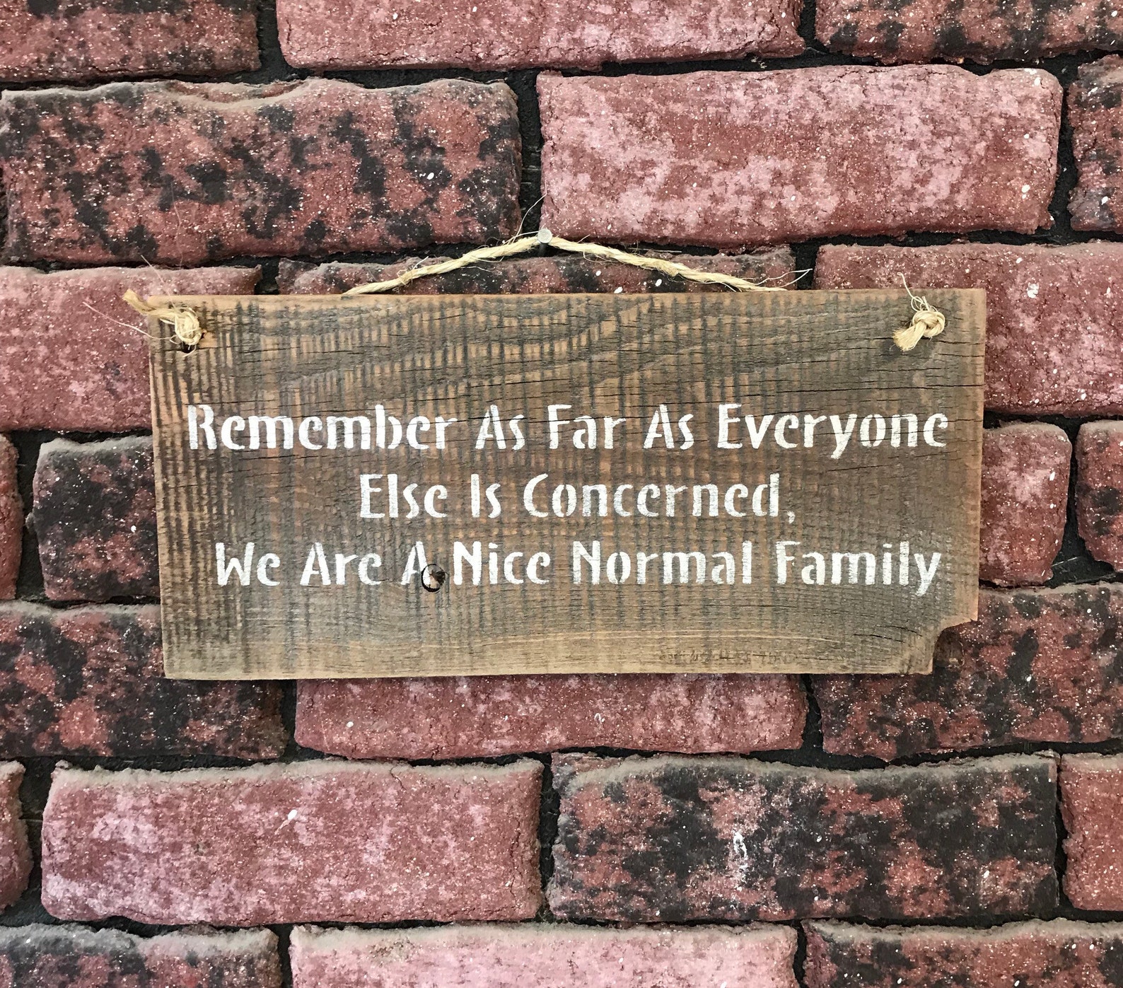 Nice Normal Family Sign Funny Family Sign Gift for Family | Etsy