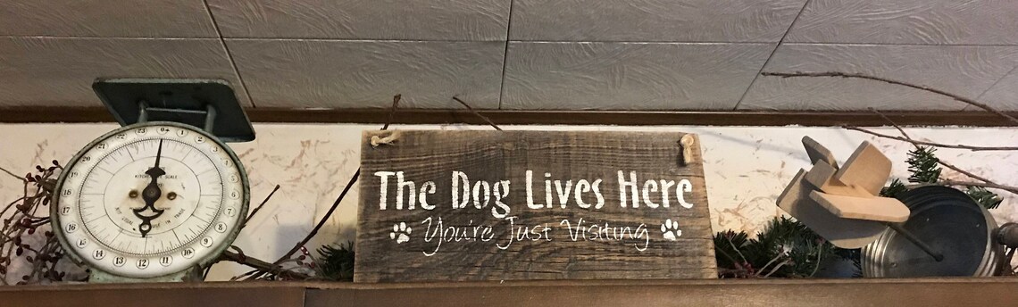Dog Lives Here Sign Sign For Guests Pet Lovers Gift Dog | Etsy