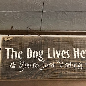 Dog Lives Here Sign Sign for Guests Pet Lovers Gift Dog Owner Gift Gift ...