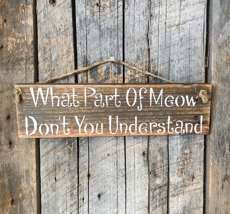 Cat Signs Cat Owner Gift Kitty Wall Hanging Pallet Wood | Etsy