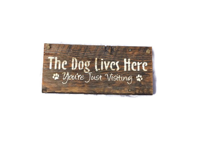 Dog Lives Here Sign Sign For Guests Pet Lovers Gift Dog | Etsy