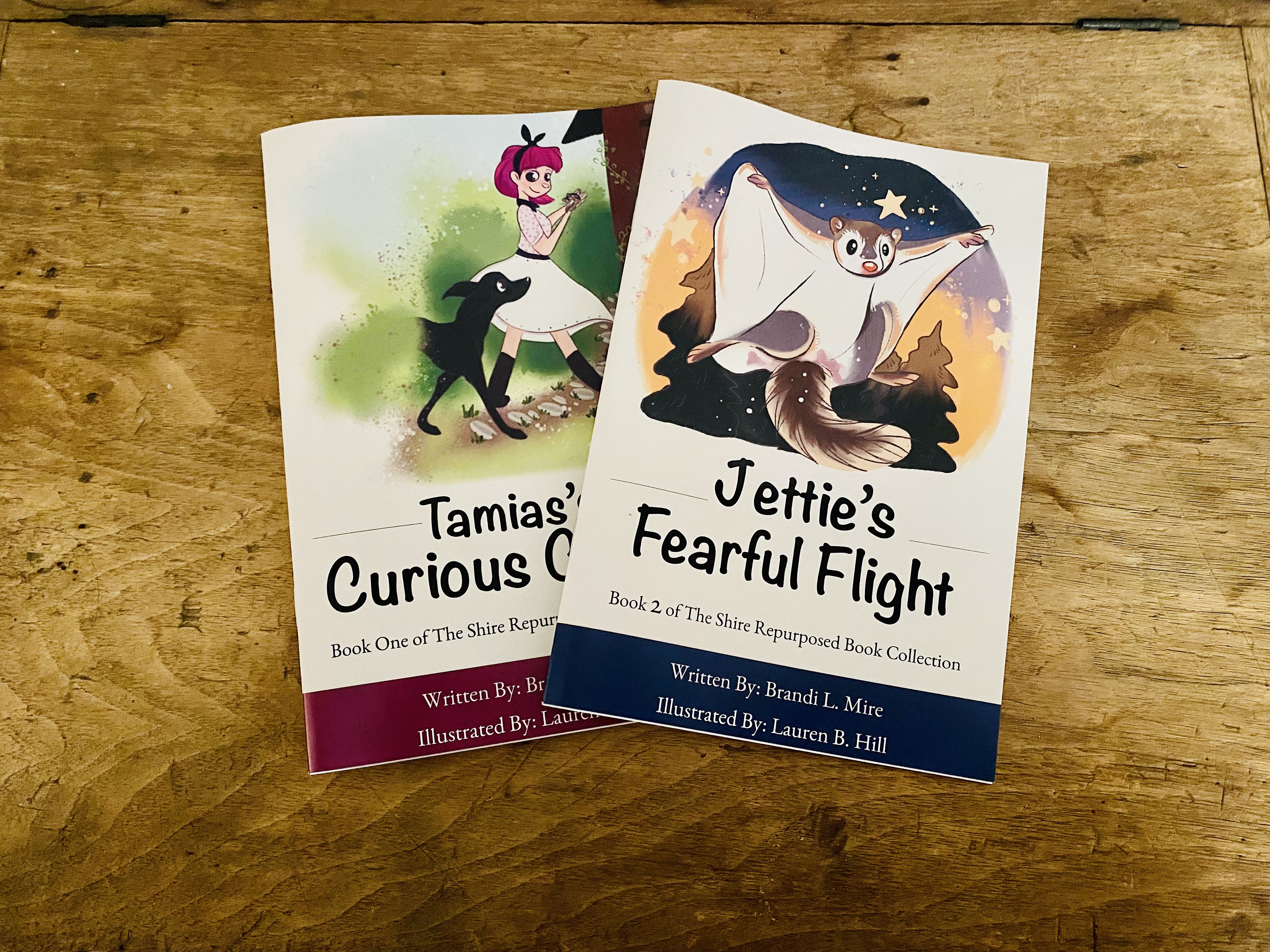 Jettie's Fearful Flight - Signed Children's Picture Book - Etsy
